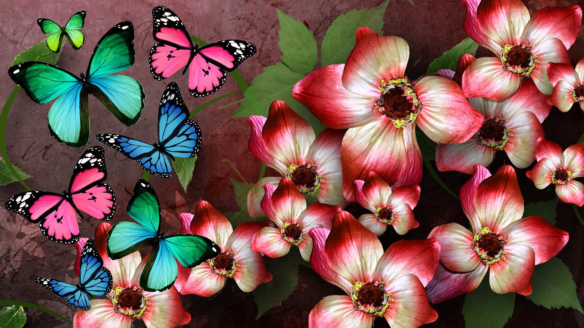 Download Colorful Colors Flower Artistic Butterfly HD Wallpaper