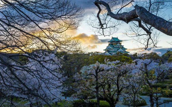 Osaka Castle in Spring - 4K Ultra HD Wallpaper
