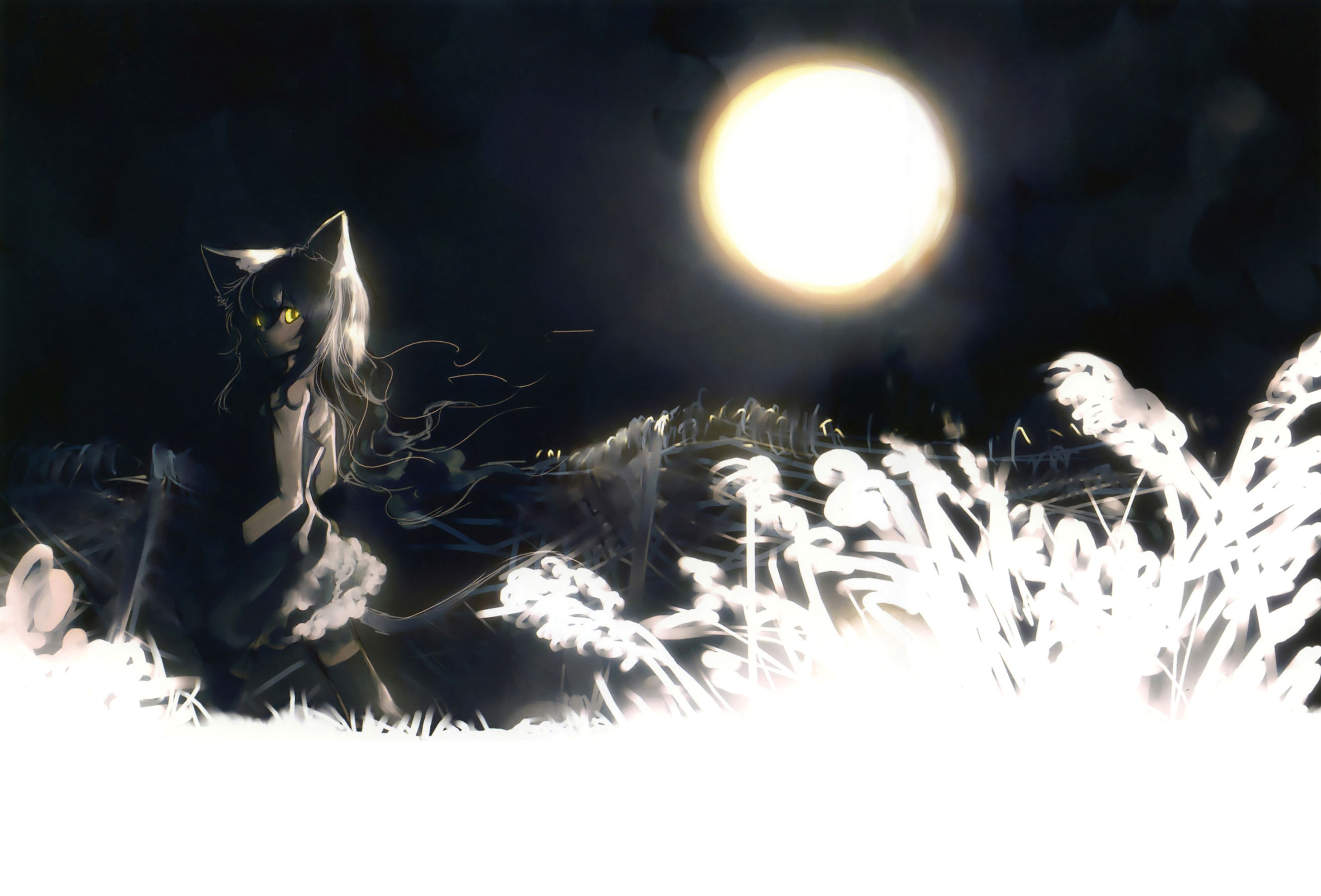 Moonlit Anime Dreamscape HD Wallpaper by KEI