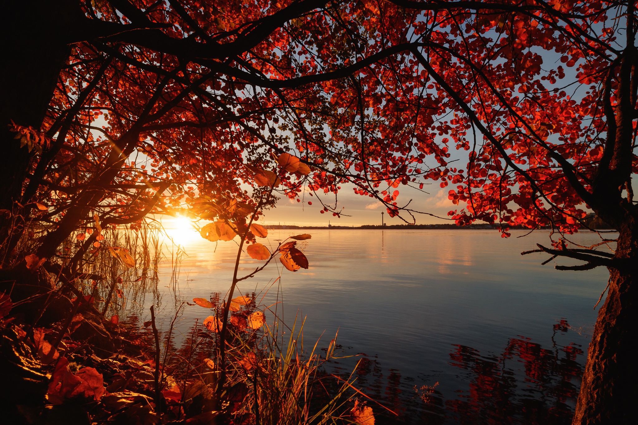 Autumn Sunrise Wallpaper