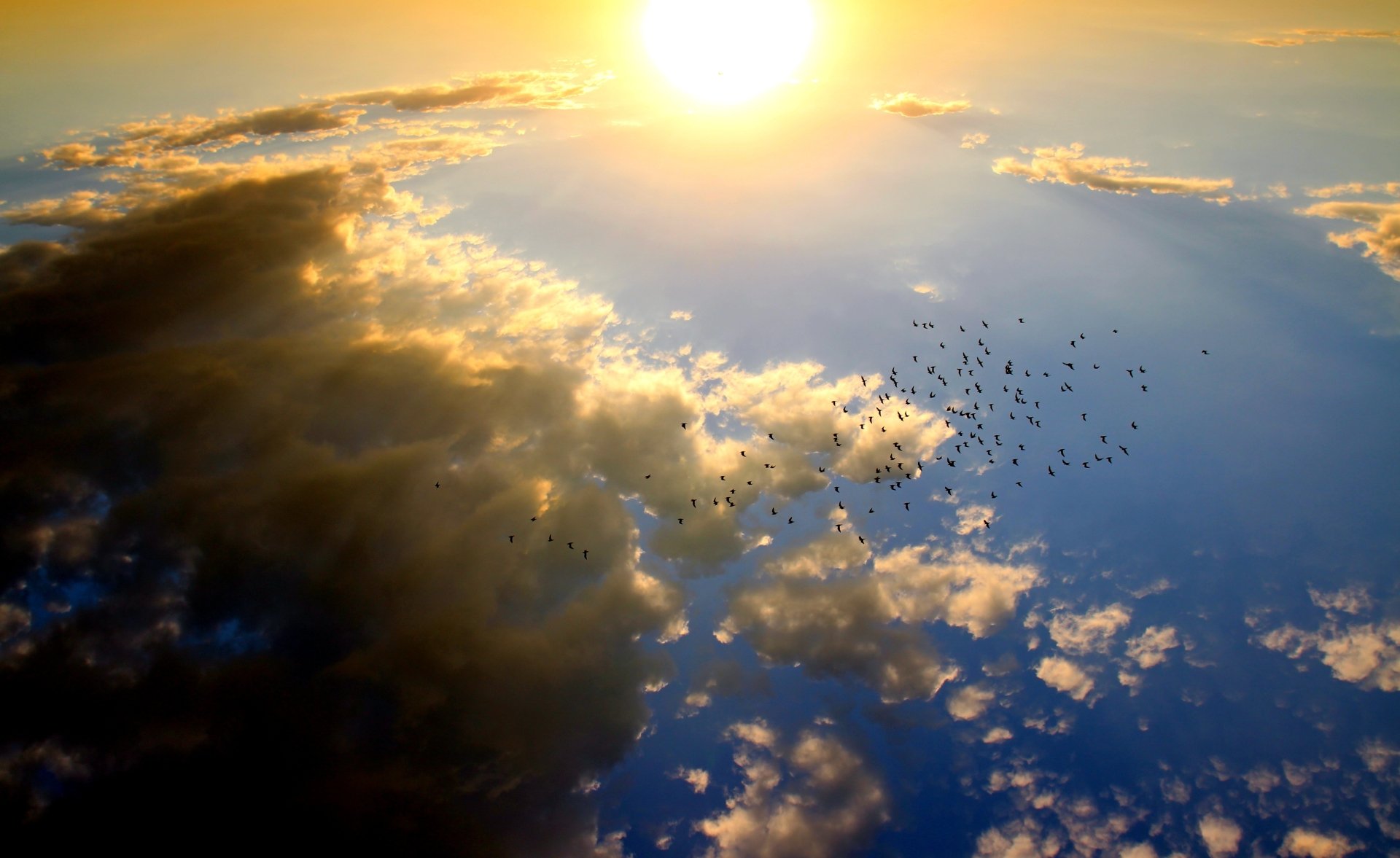 4K Ultra HD Sky Symphony: Flock of Birds Soaring Through Sunlit Clouds