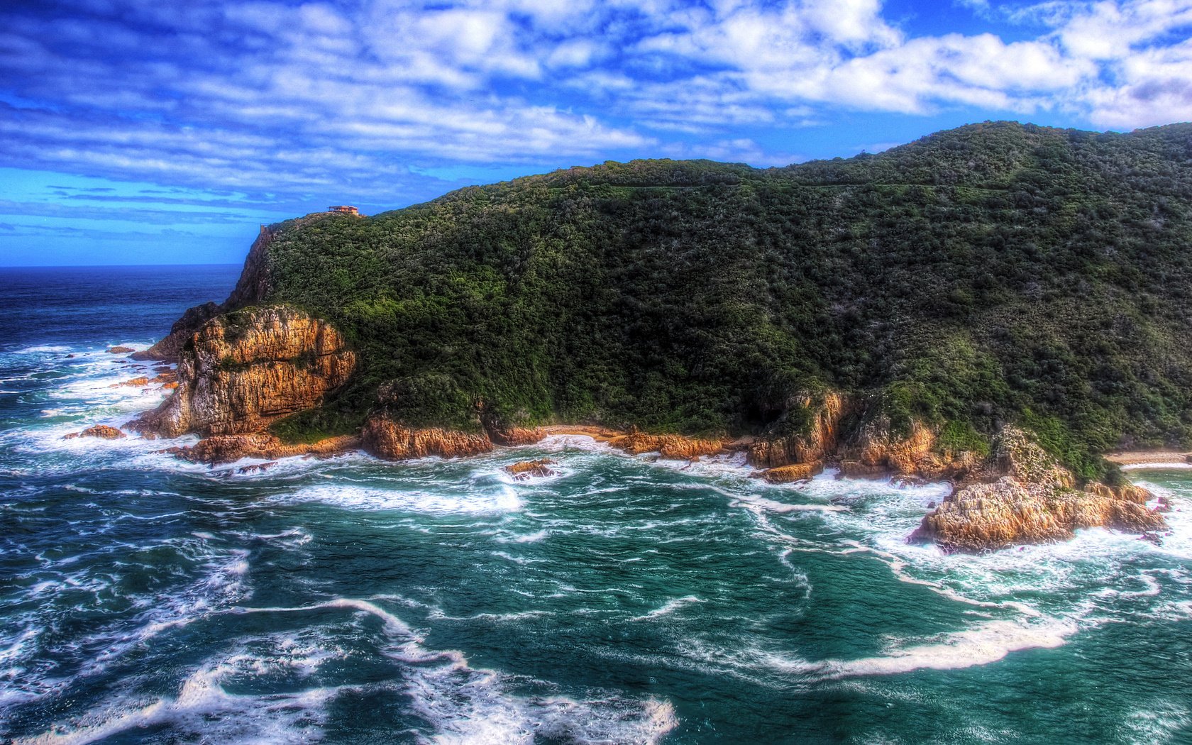 Download Ocean Forest Nature Coastline Wallpaper