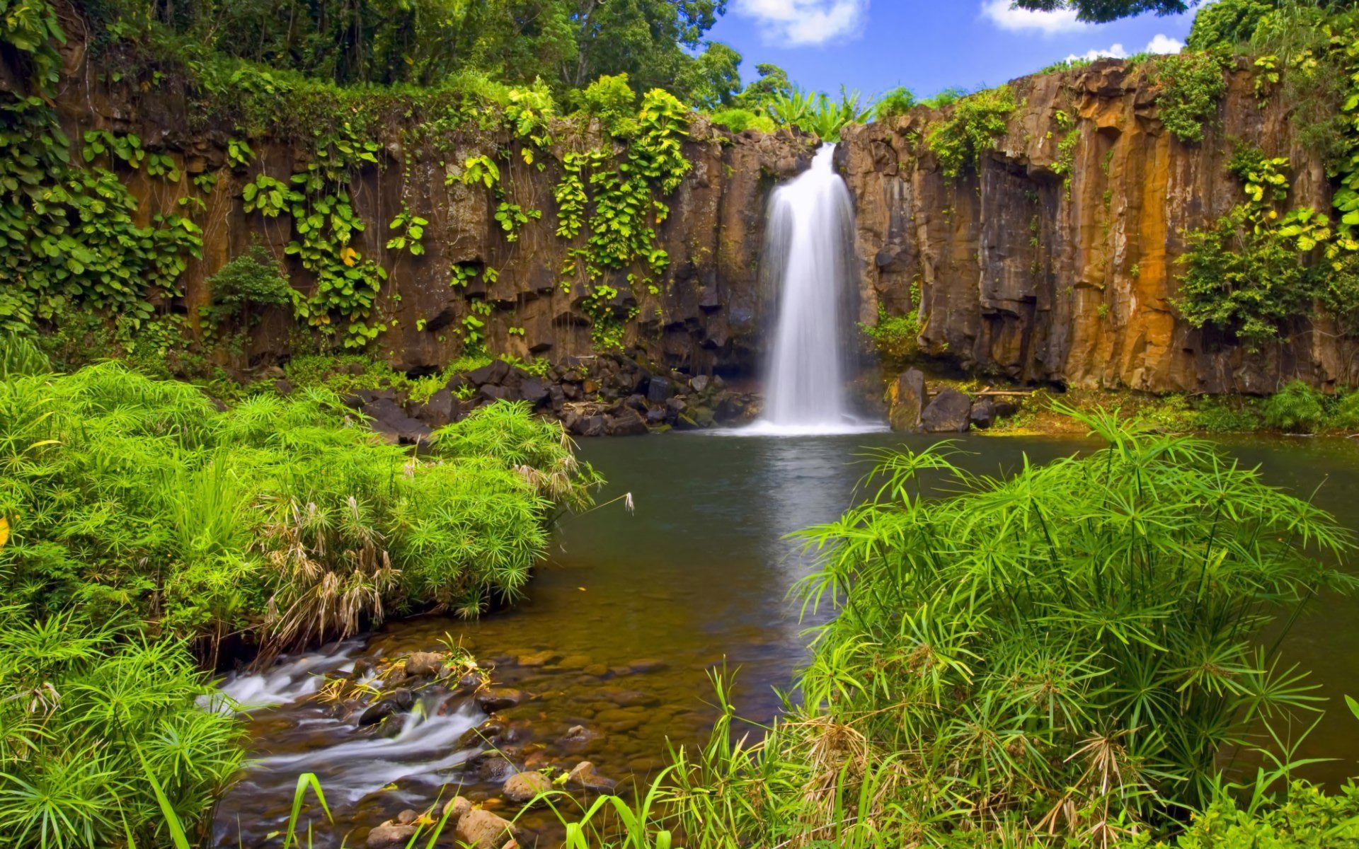Download Green Tree Nature Waterfall HD Wallpaper | 1920x1200 ...