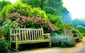 Bench Wallpaper Garden