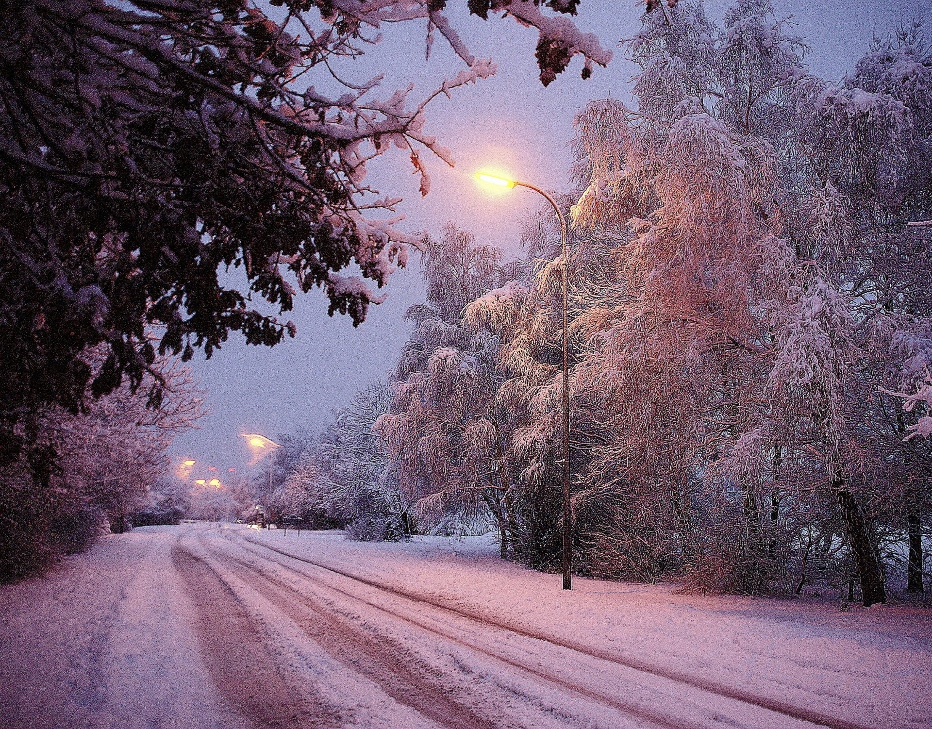 Winter Dusk Serenity: Snow-Covered Road Beneath Glowing Streetlights ...