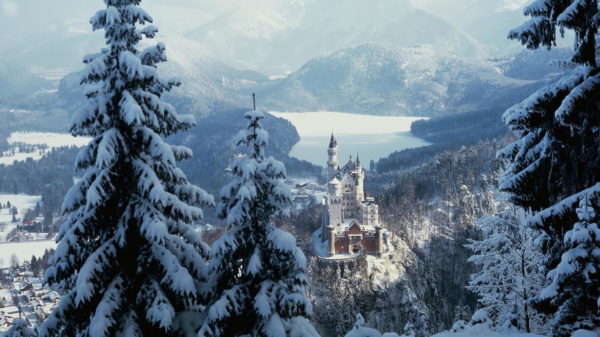 Download Germany Snow Winter Forest Man Made Neuschwanstein Castle HD ...