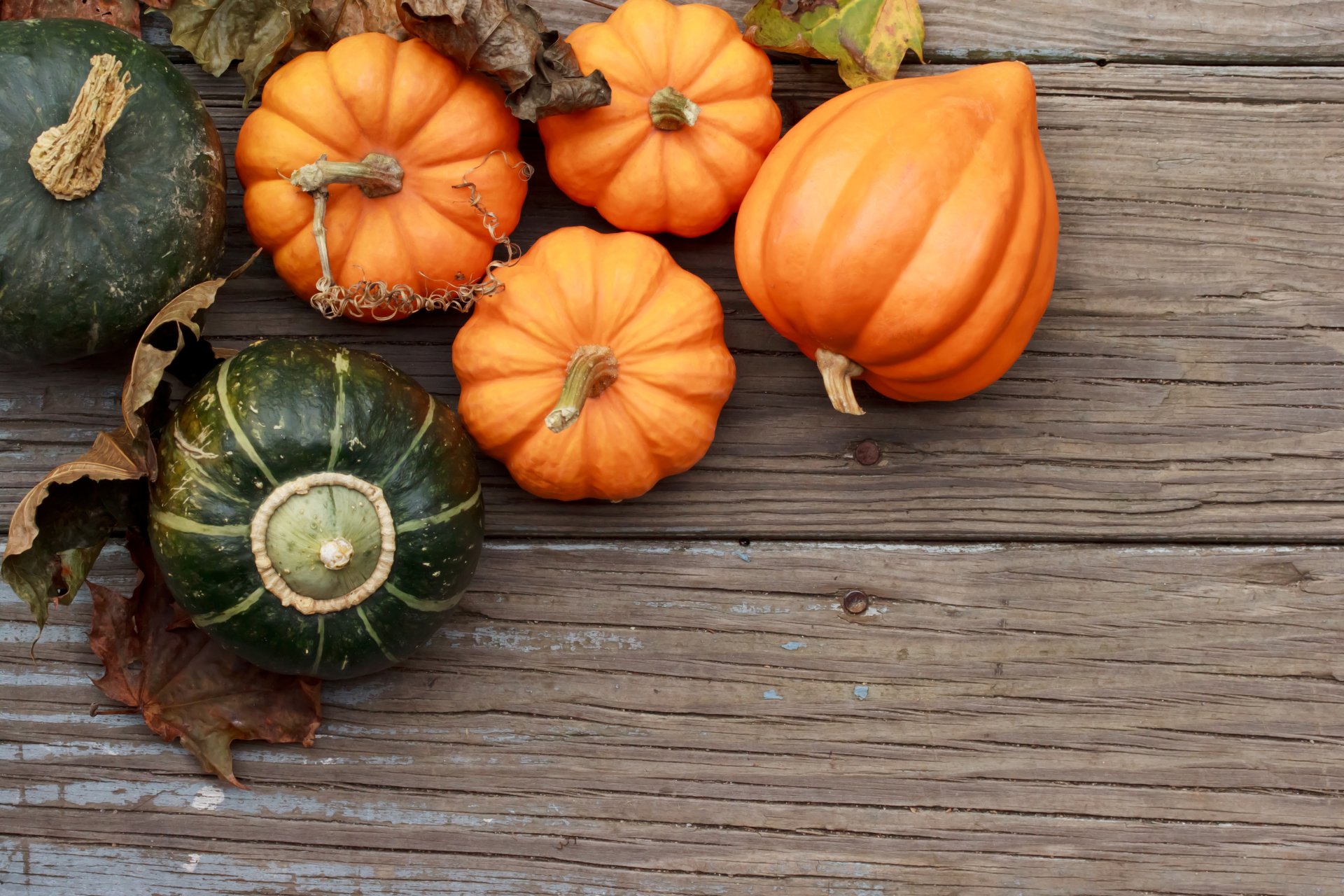 4K Ultra HD Autumn Harvest: Vibrant Pumpkins & Fall Flavors