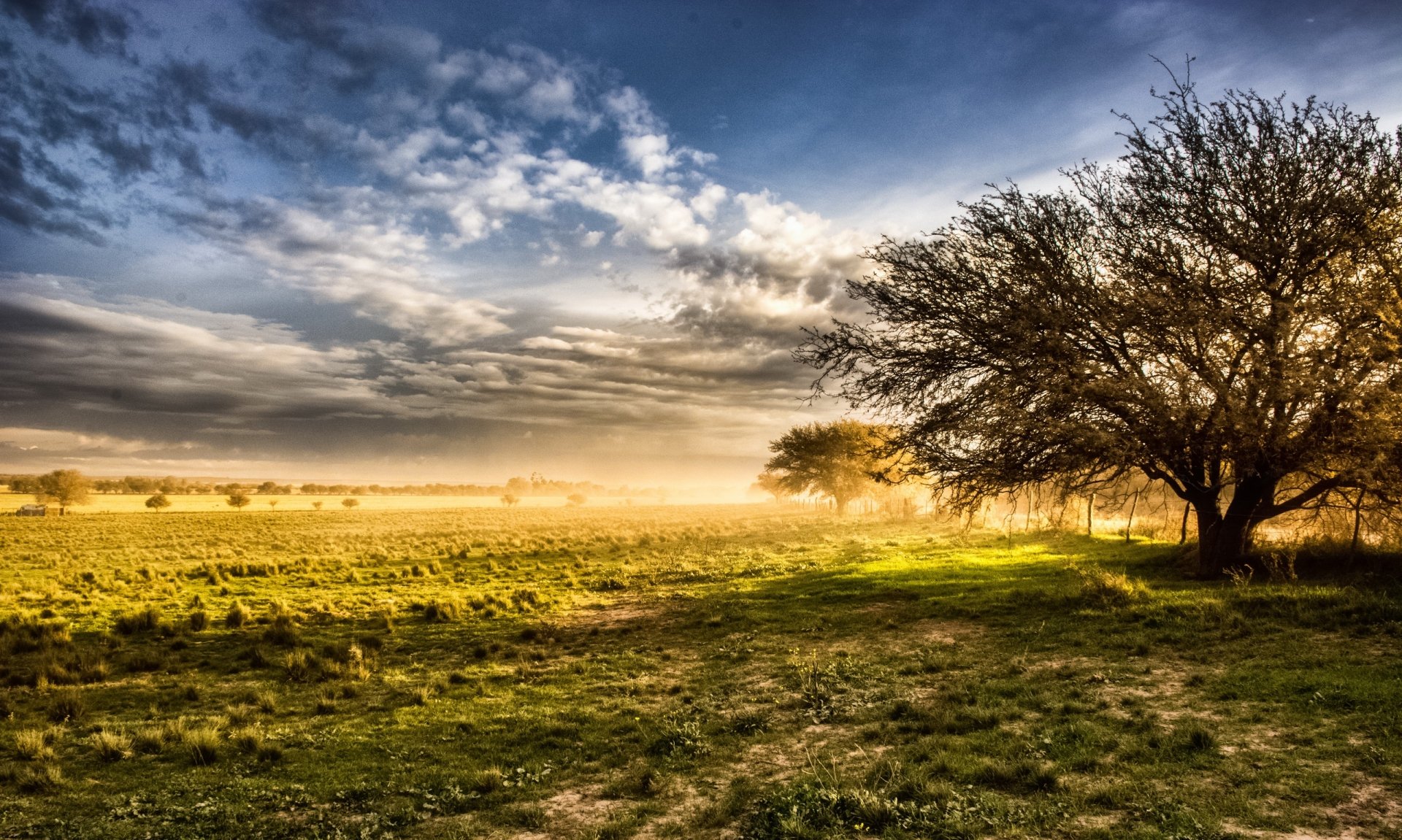 Download Sunbeam Cloud Sky Tree Grass Horizon Nature Landscape HD Wallpaper