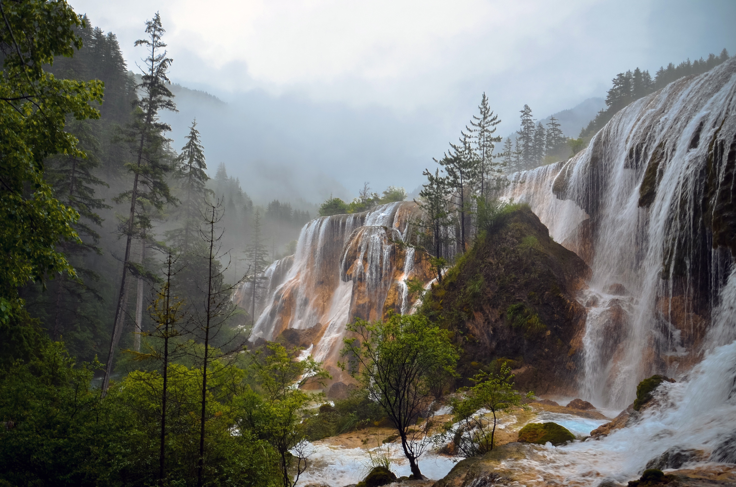 Download Tree Fog Nature Waterfall HD Wallpaper