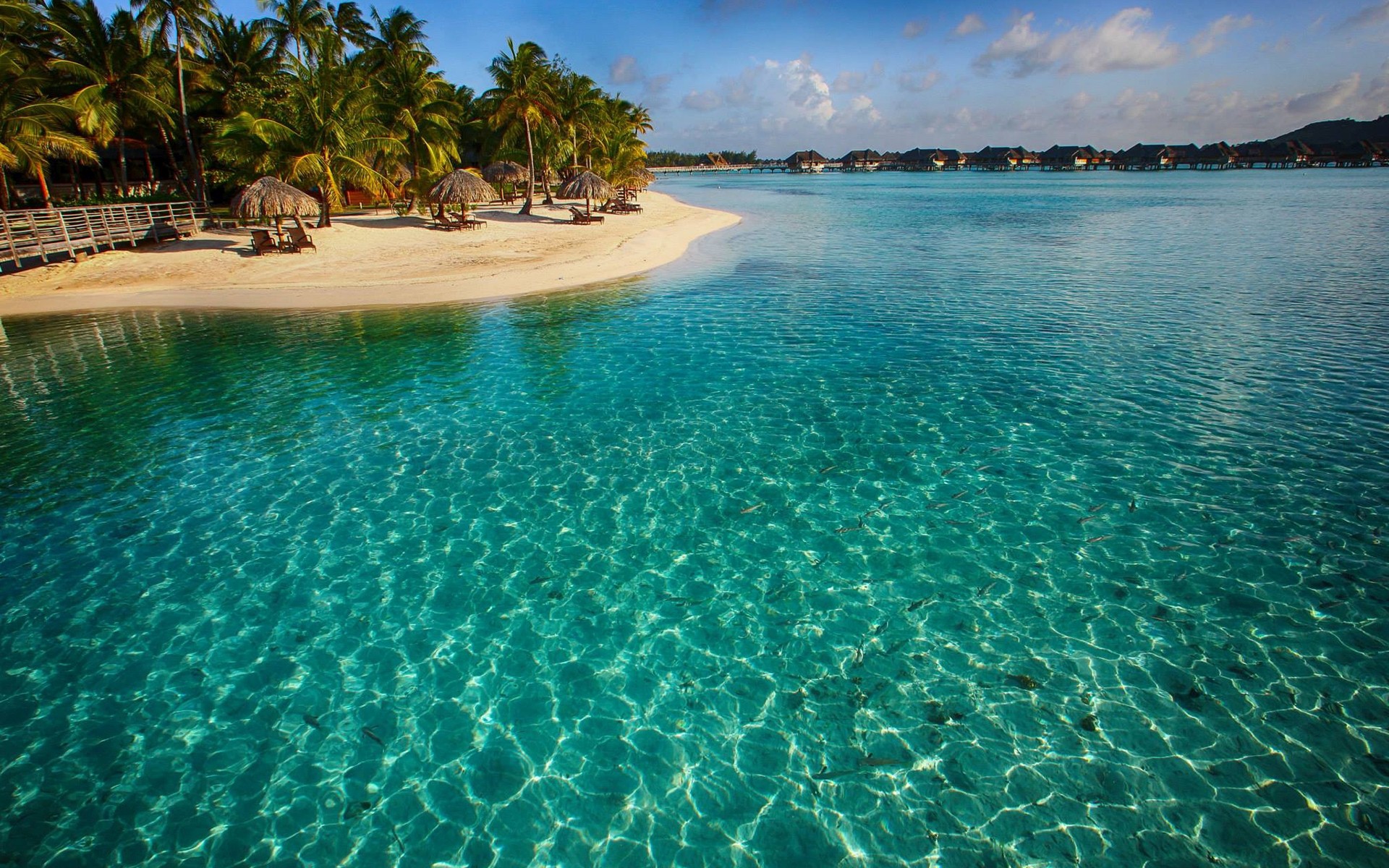 Download Palm Tree Hut Island Turquoise Tropical Sea Ocean Earth ...