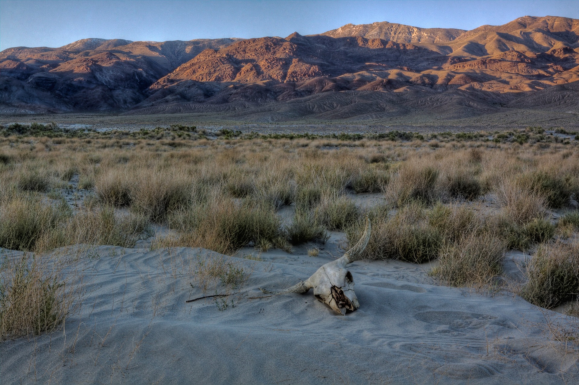 Download Mountain Hill Sand Nature Landscape Skull Desert HD Wallpaper