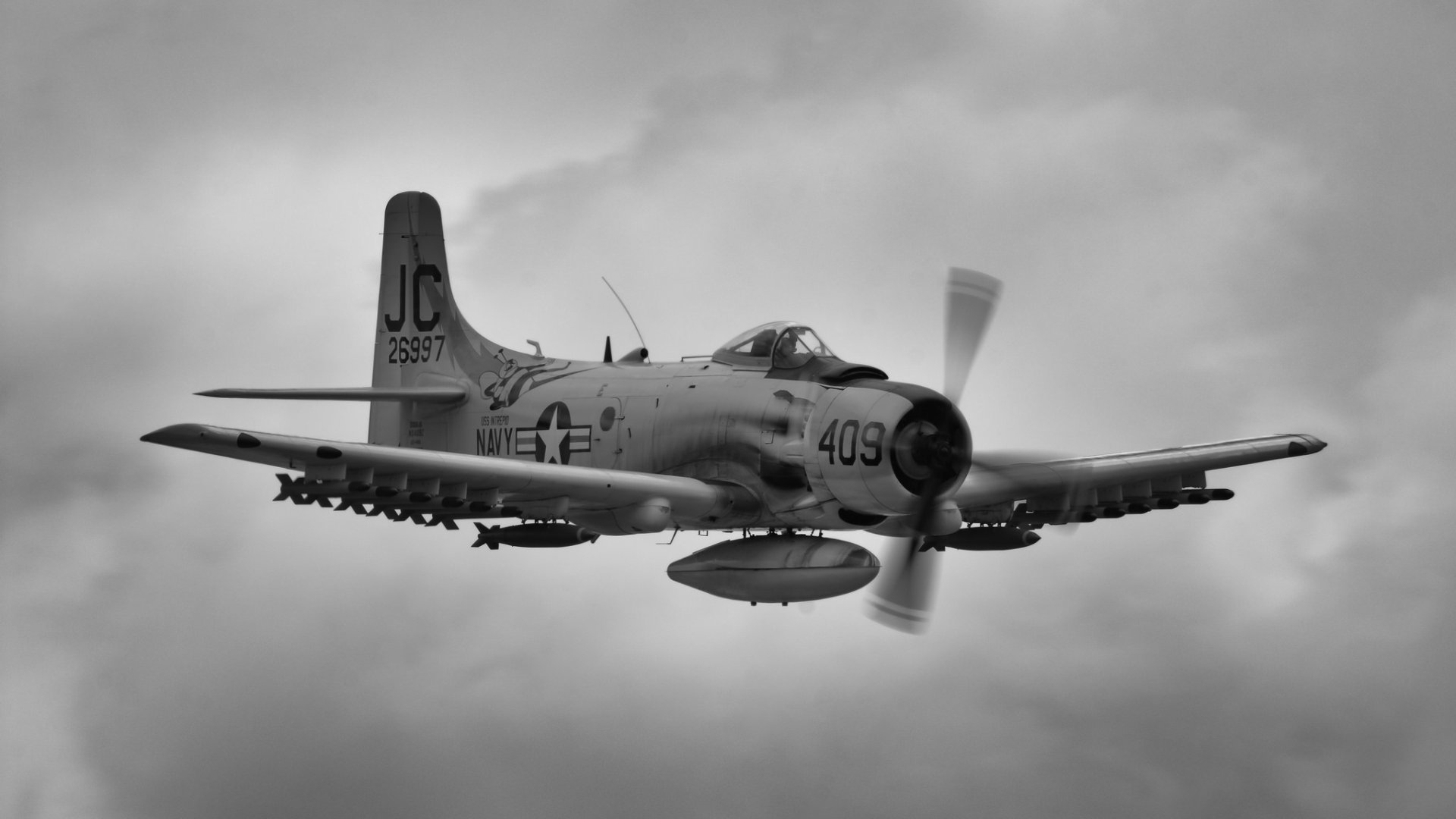 Download Navy Aircraft Warplane Military Douglas A-1 Skyraider HD Wallpaper