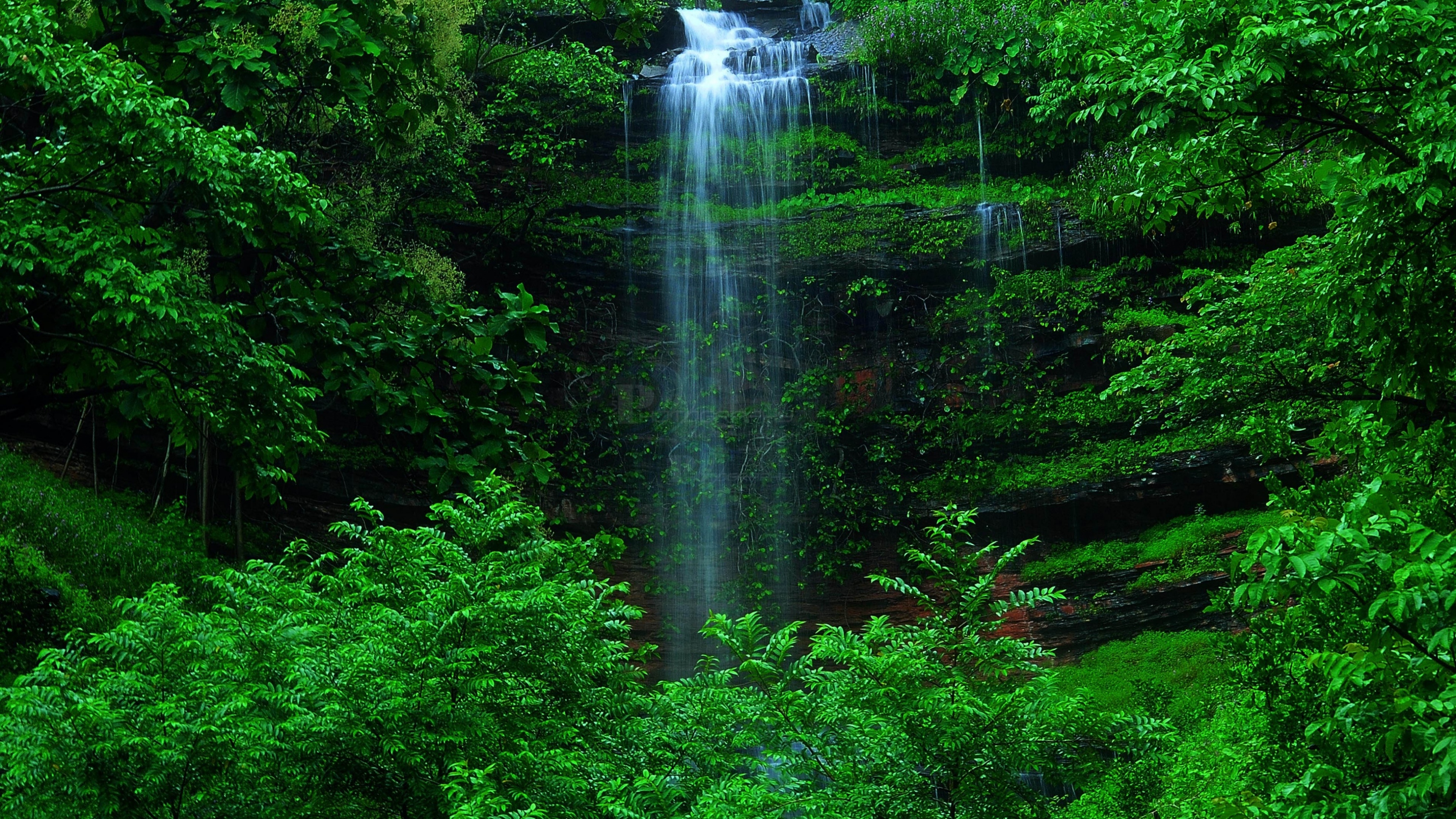 Waterfall In Green Forest 4k Ultra Hd Wallpaper Forest Waterfall