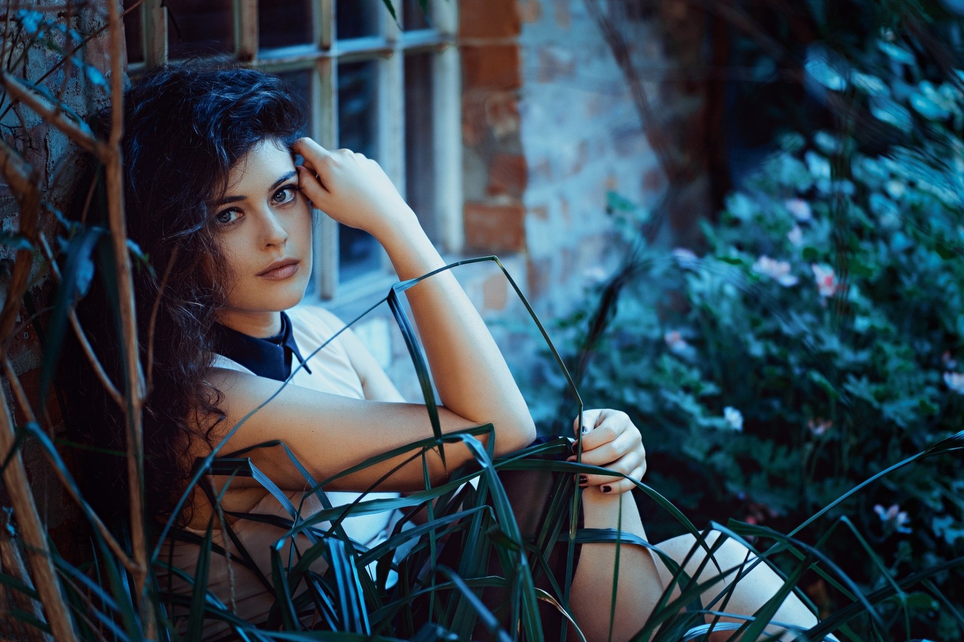 Download Blue Eyes Brunette Woman Model HD Wallpaper