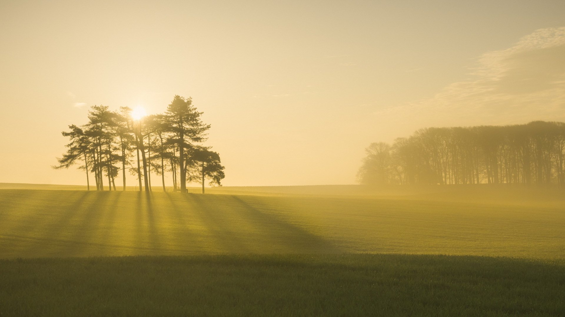 Download Field Fog Nature Sunbeam HD Wallpaper