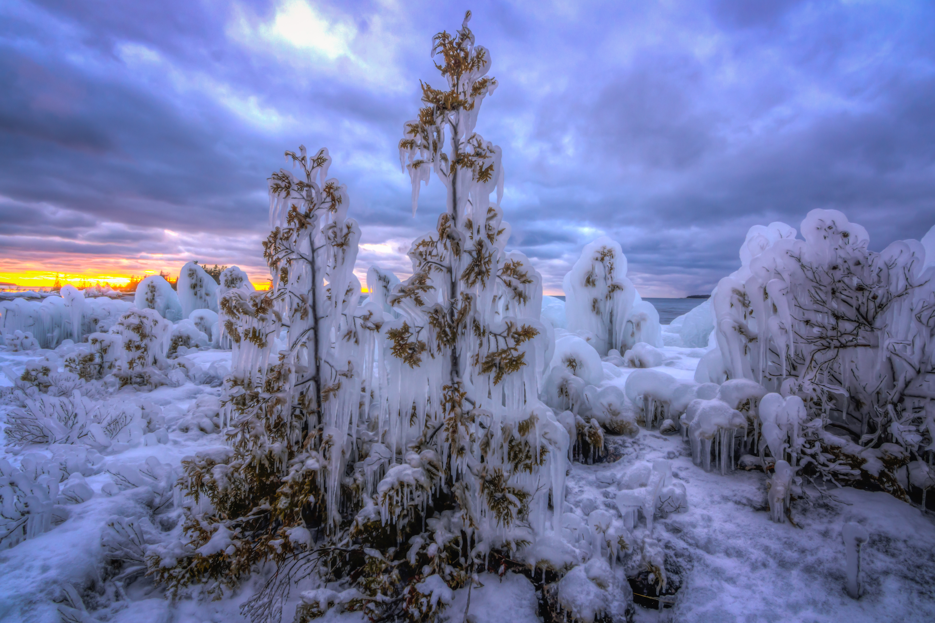 Winter's Frozen Sunset: Snow-Covered Trees in Nature's HD Glow