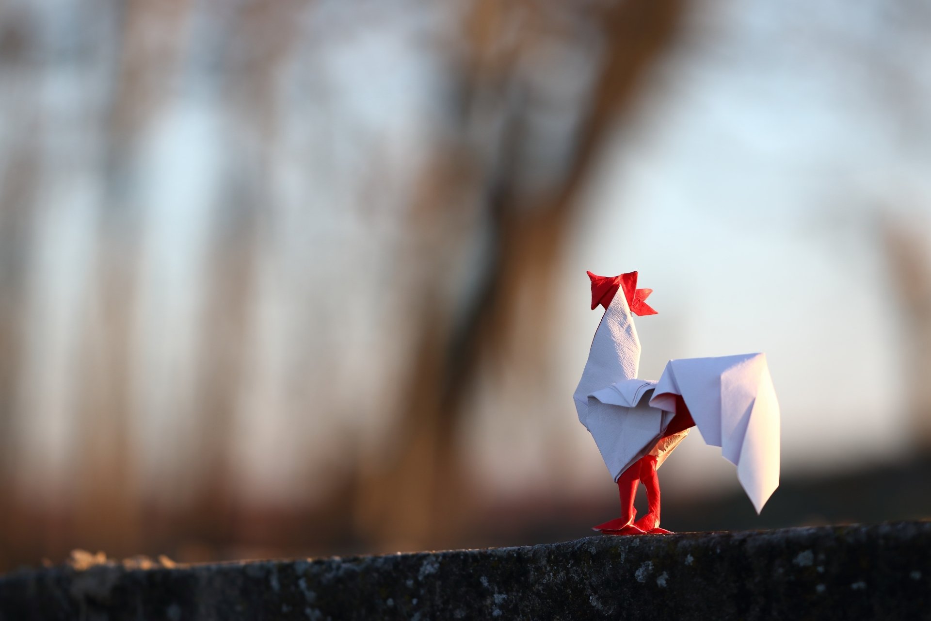 Download Rooster Blur Man Made Origami 4k Ultra HD Wallpaper