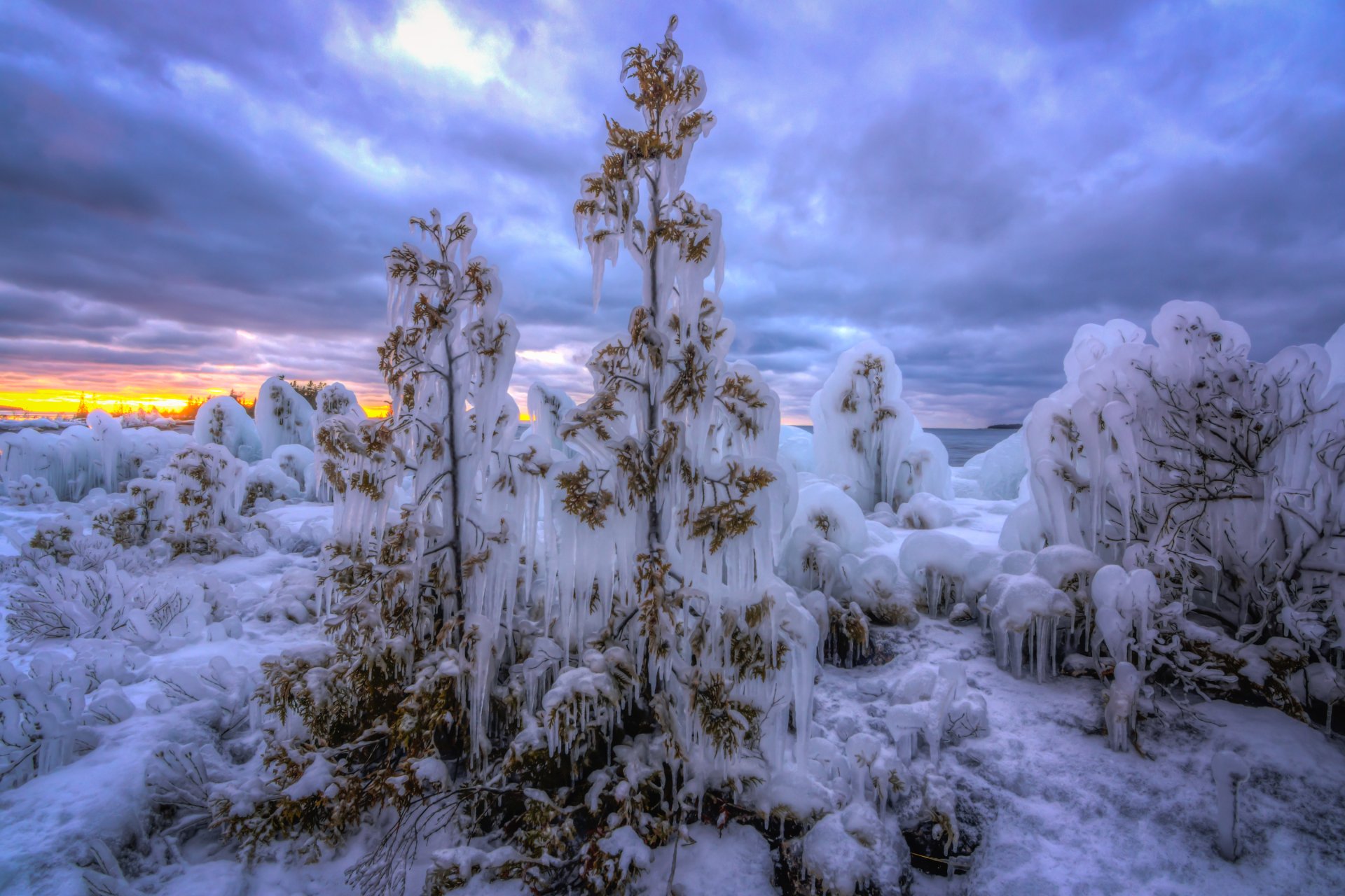 Winter's Frozen Sunset: Snow-Covered Trees in Nature's HD Glow