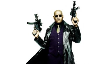 The Matrix Reloaded Pfp