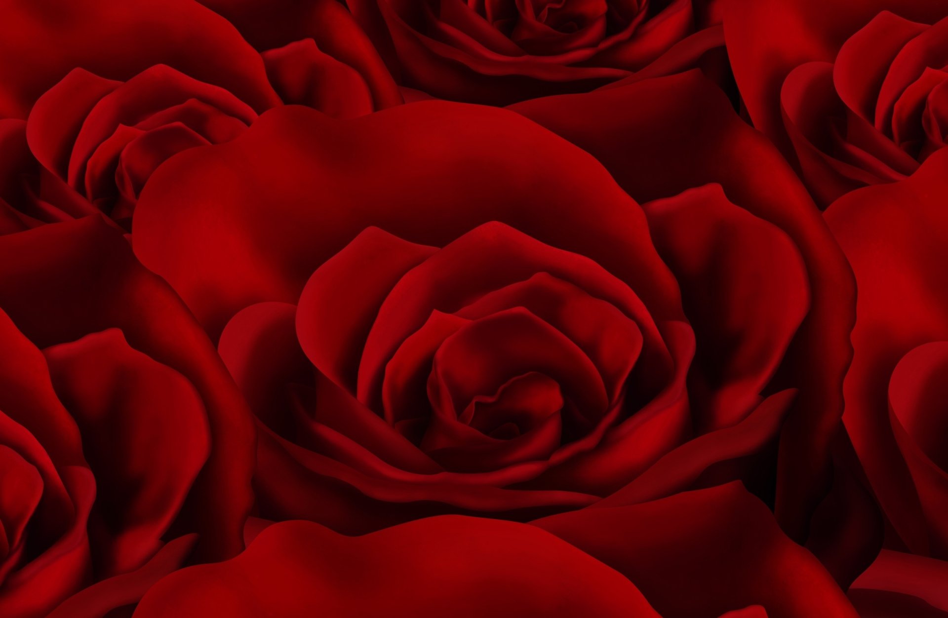 Download Red Red Rose Artistic Rose HD Wallpaper