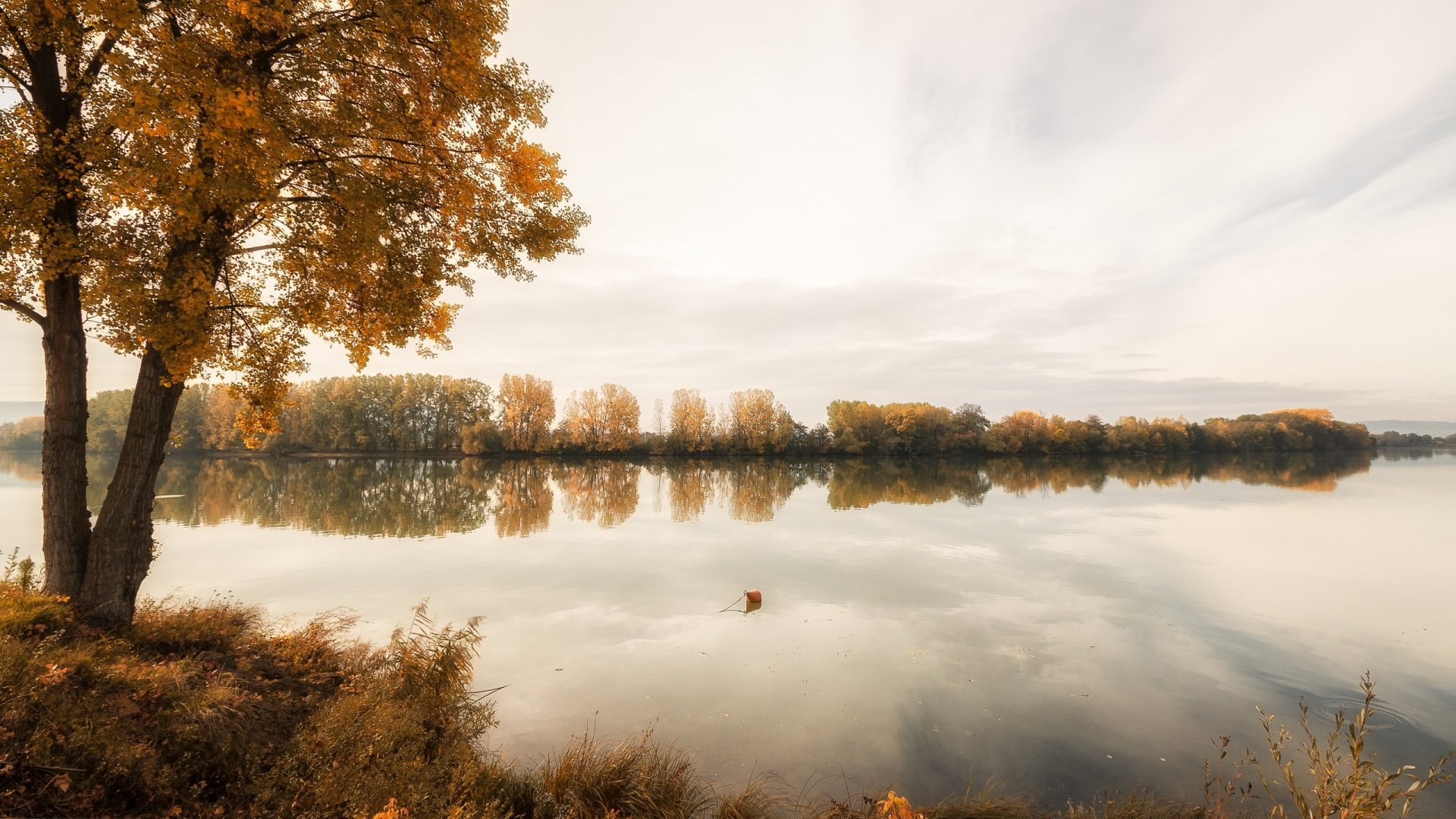 Download Fall River Nature Reflection HD Wallpaper | 2560x1440 ...