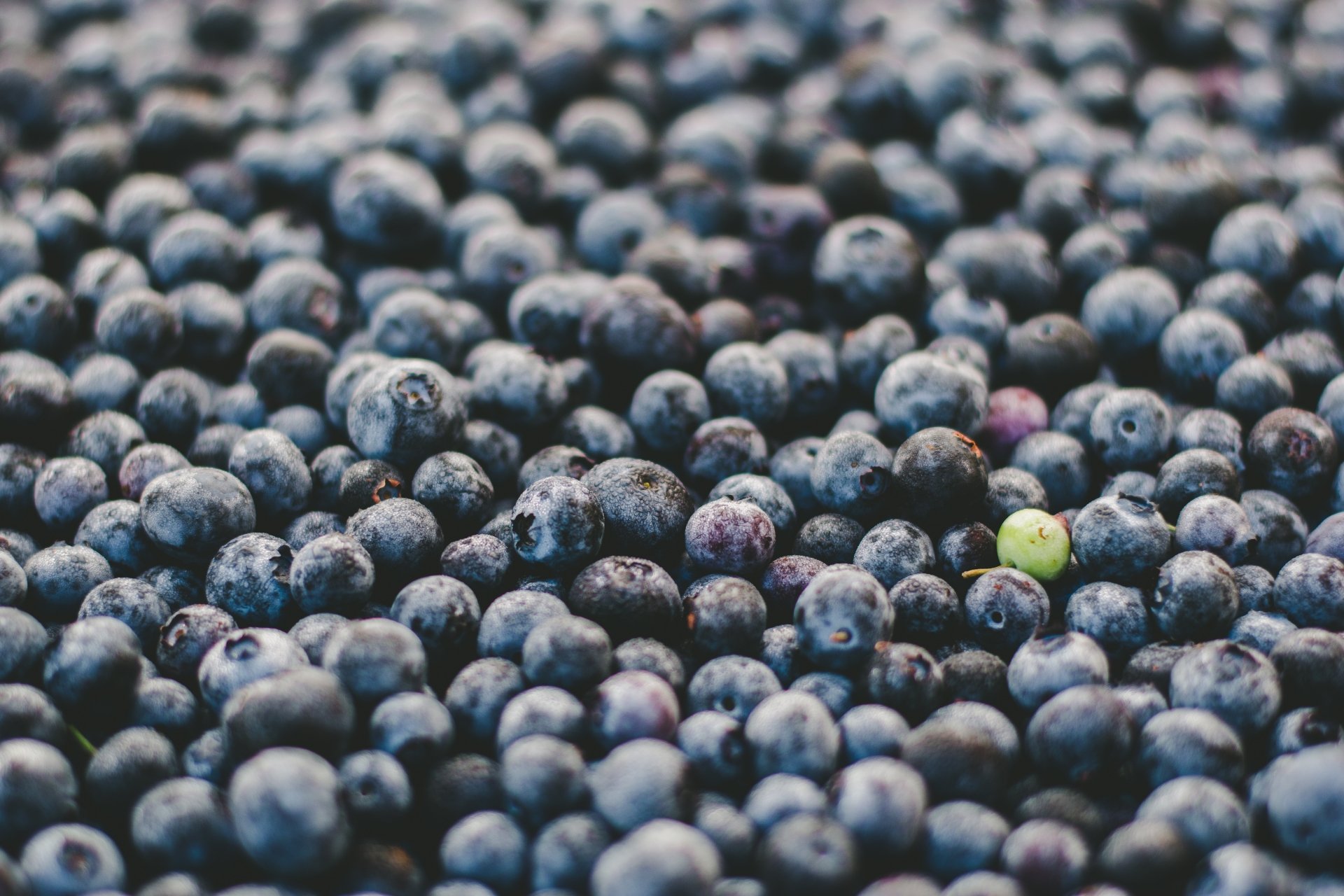 Download Berry Fruit Food Blueberry 4k Ultra HD Wallpaper | 6000x4000 ...