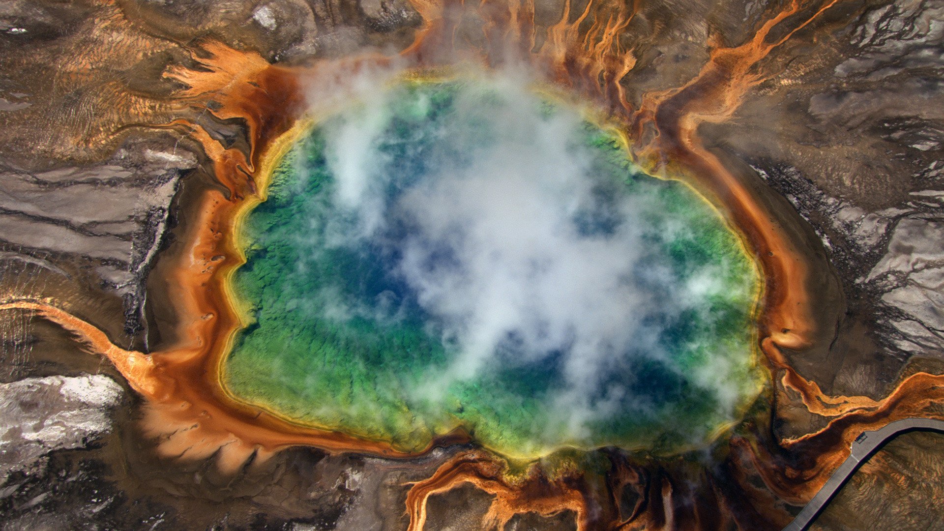 Download Movie Home (2009) HD Wallpaper