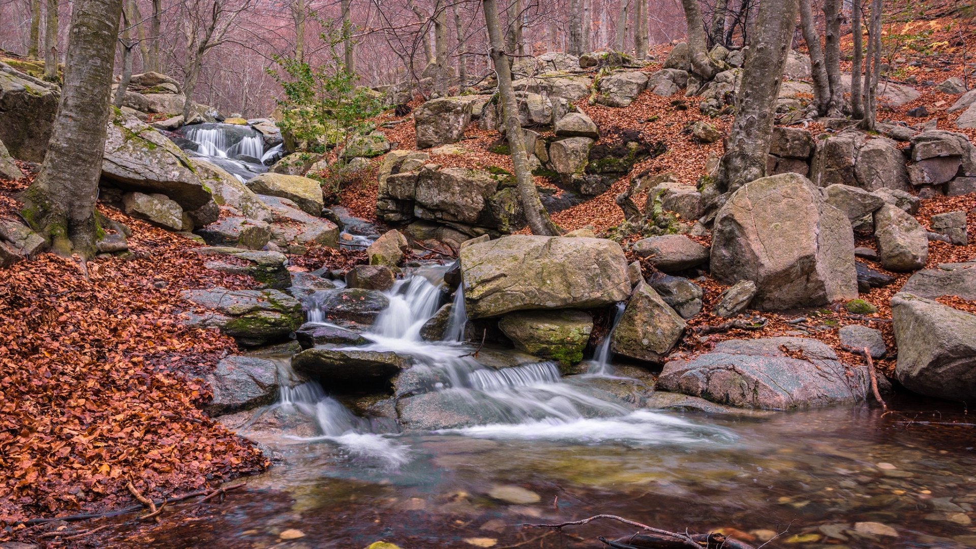 Serene Fall Stream: HD Nature’s Tranquil Waterscape
