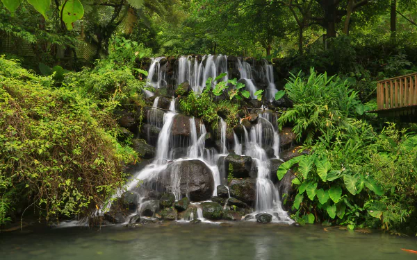 [160+] Greenery 4k Wallpapers