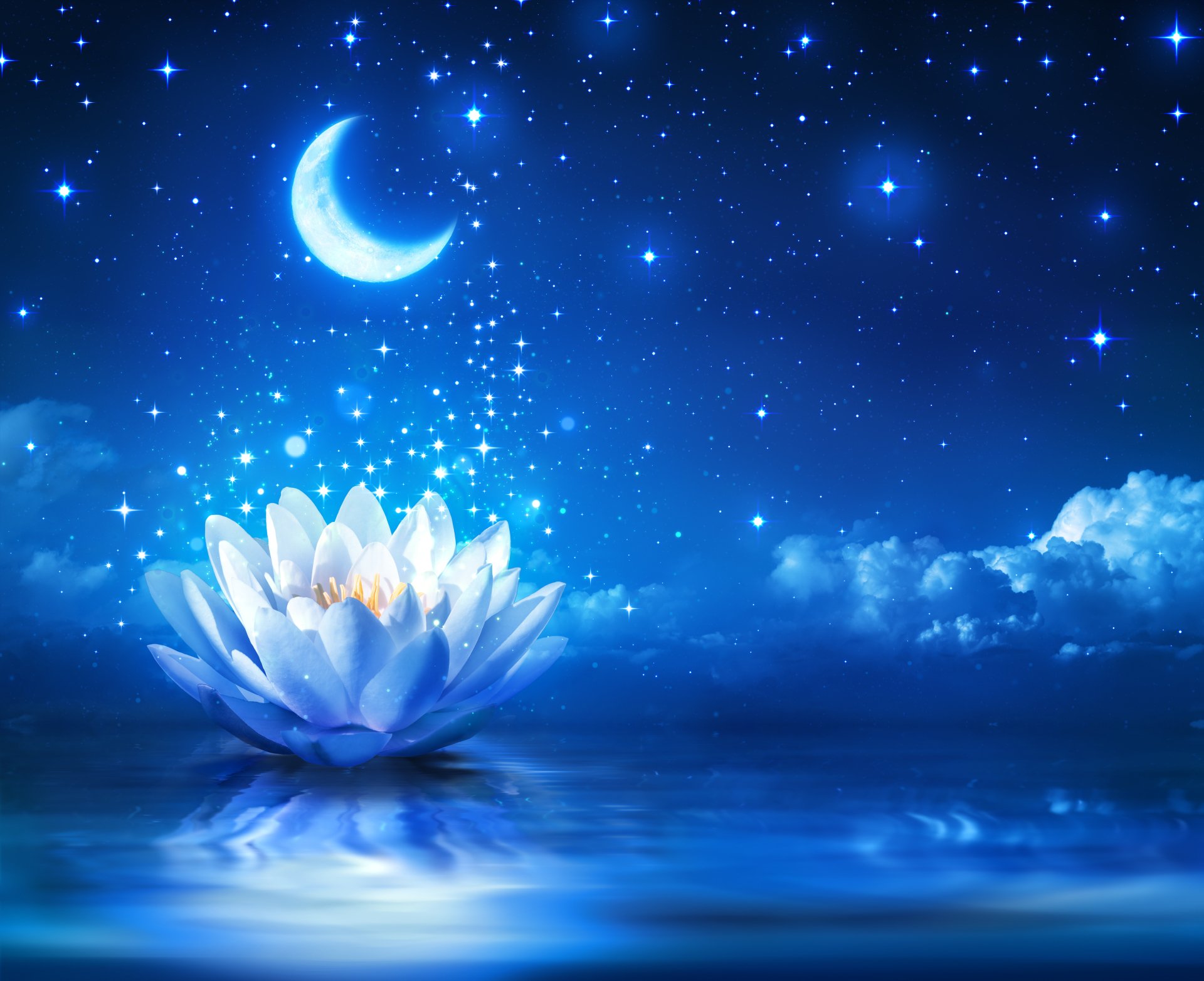 Moonlit Water Lily: Sparkling Night Stars Reflection – 4K Ultra HD ...