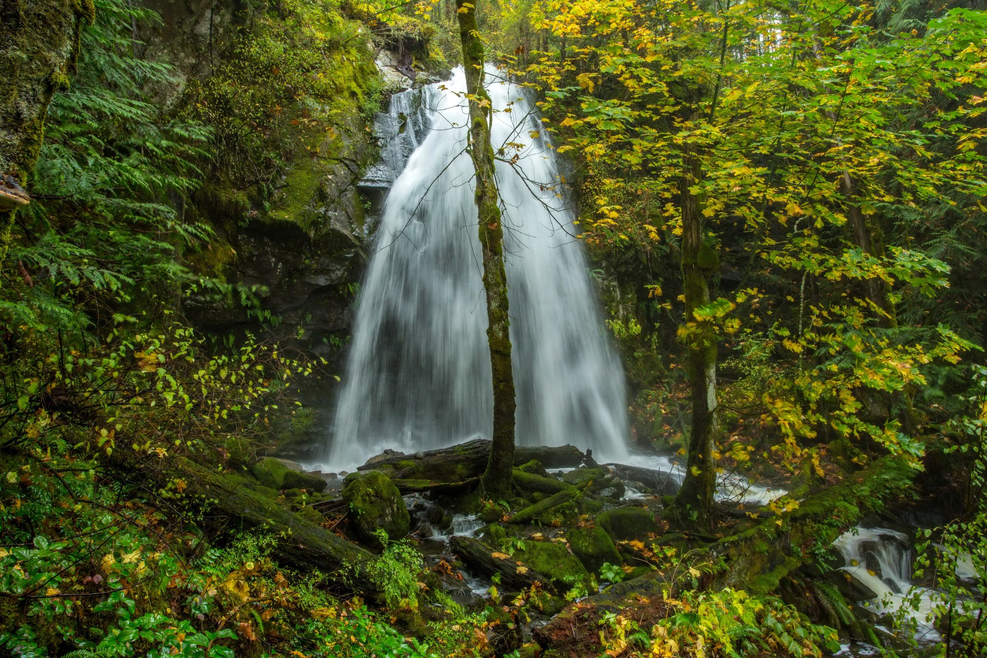 Download Green Forest Nature Waterfall 4k Ultra HD Wallpaper ...