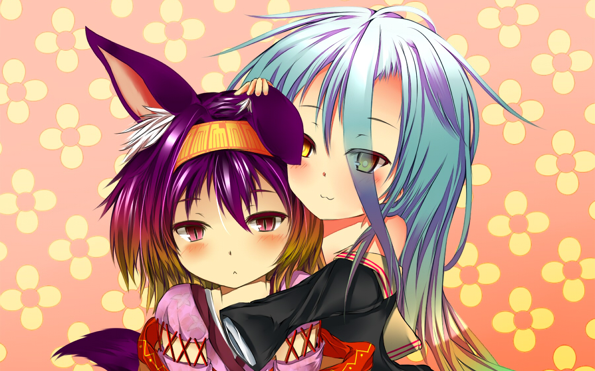 Download Izuna Hatsuse Shiro (No Game No Life) Anime No Game No Life HD ...