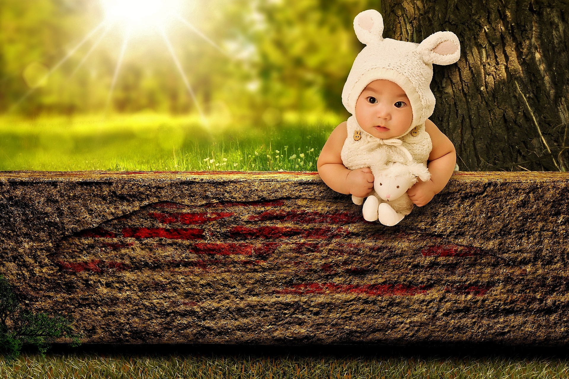 Download Photography Baby HD Wallpaper
