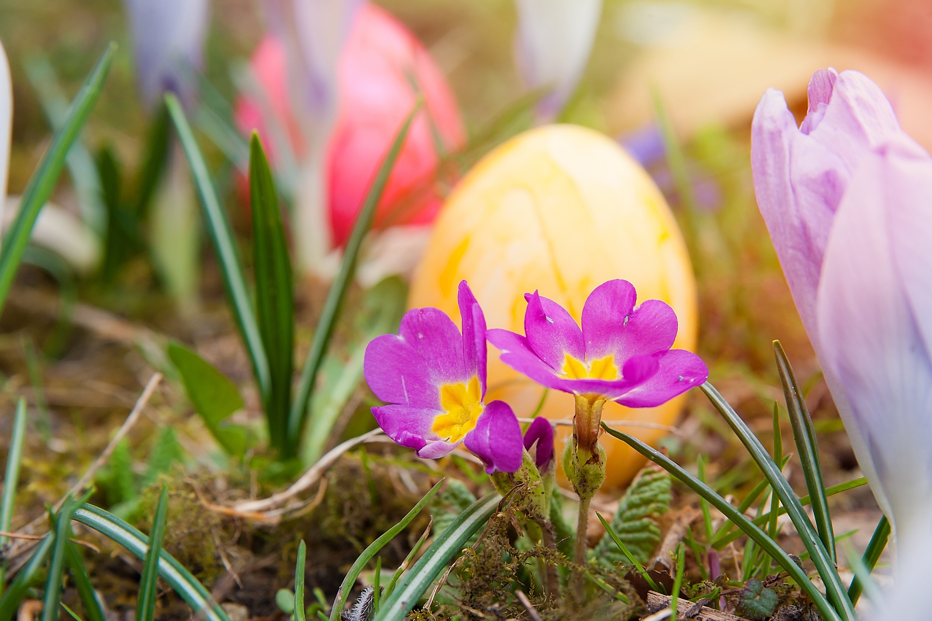 Download Holiday Easter HD Wallpaper