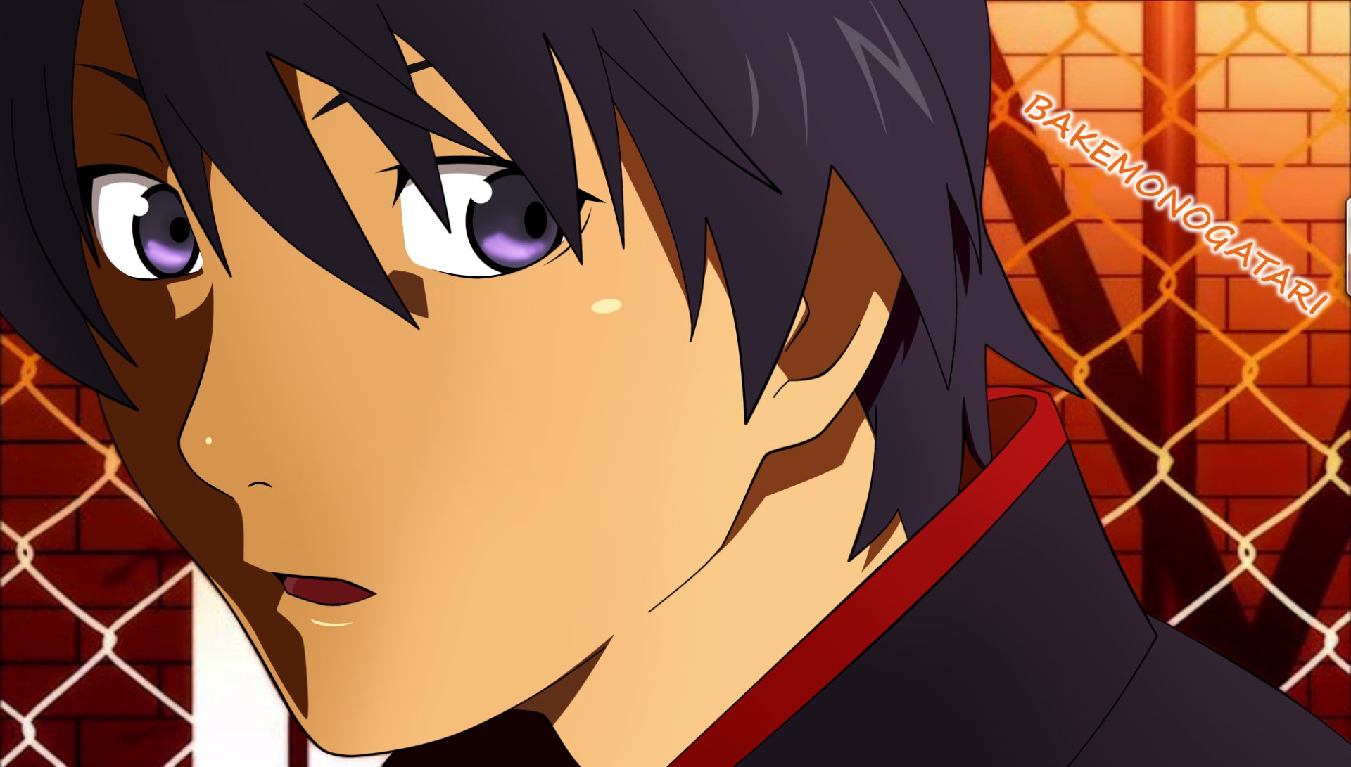 Download Koyomi Araragi Anime Monogatari (Series) HD Wallpaper