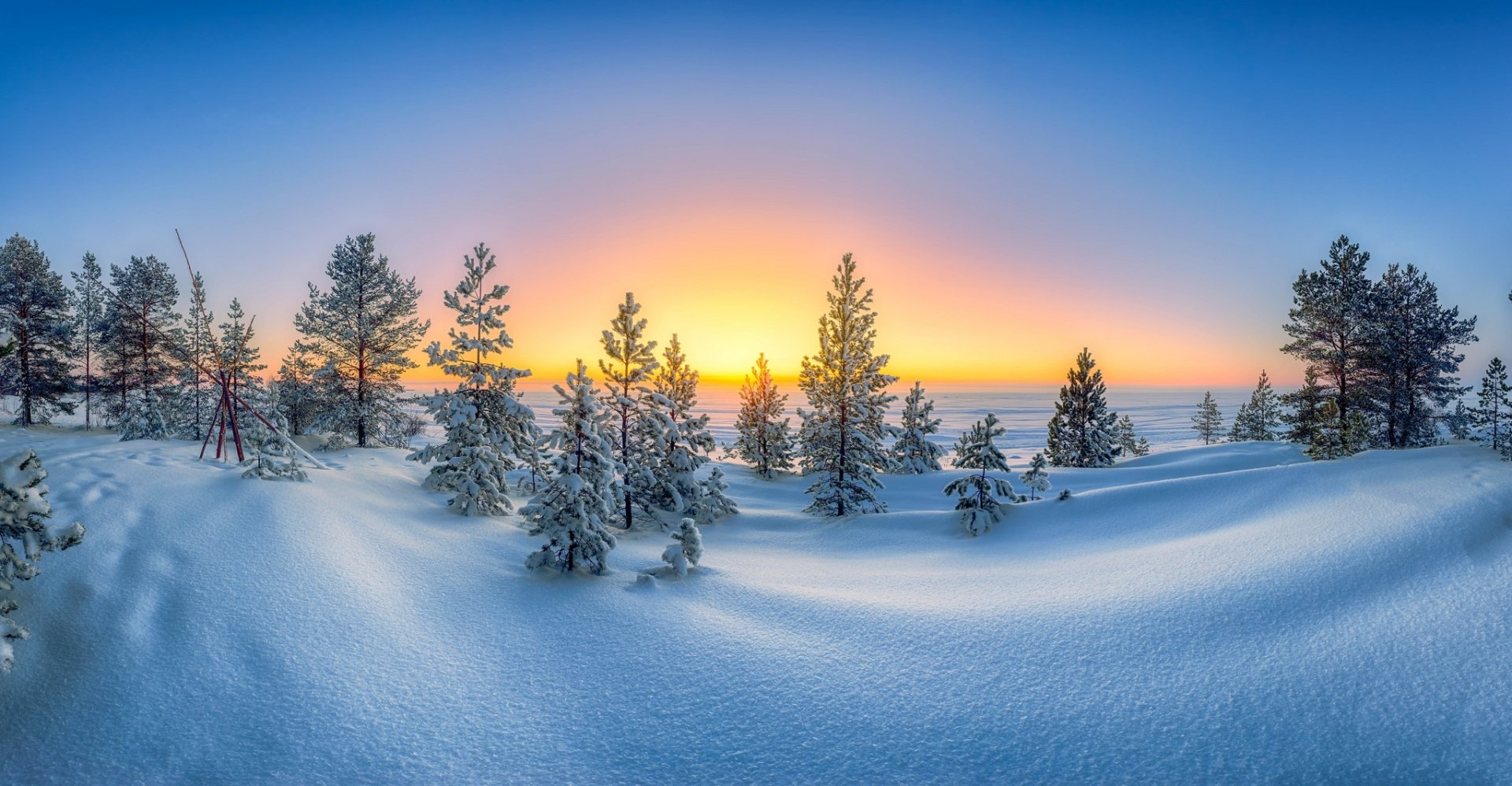 Winter Horizon: Snowy Pines at Sunset (HD Wallpaper)