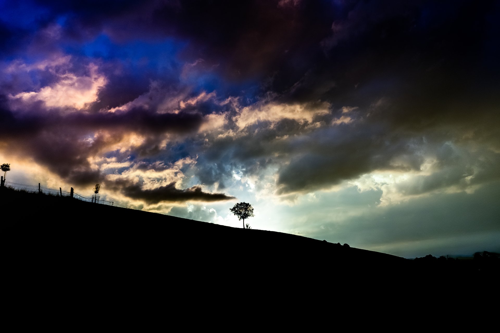 Download Cloud Silhouette Lonely Tree Nature Sunrise 4k Ultra HD ...