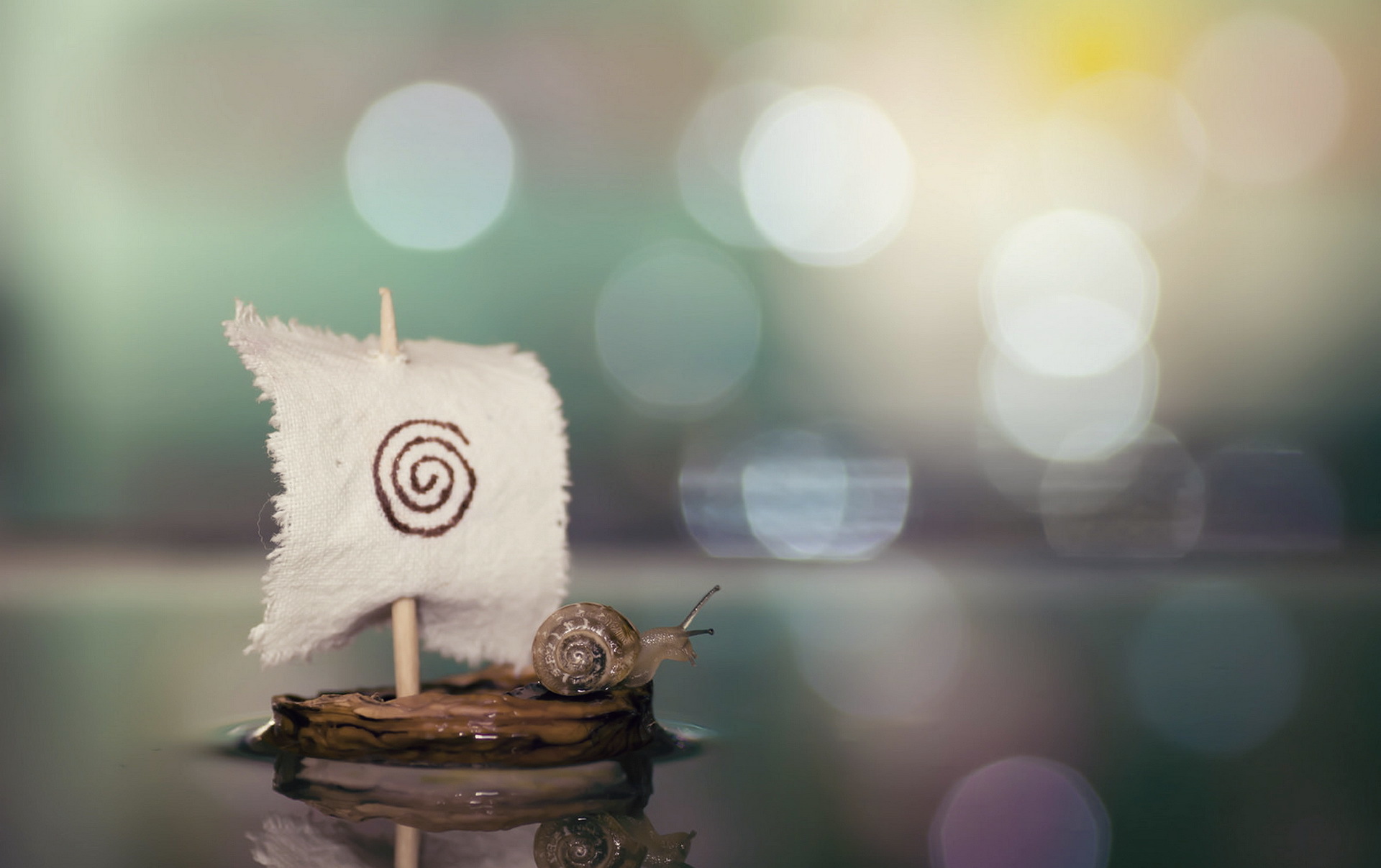 Download Boat Bokeh Water Reflection Animal Snail HD Wallpaper
