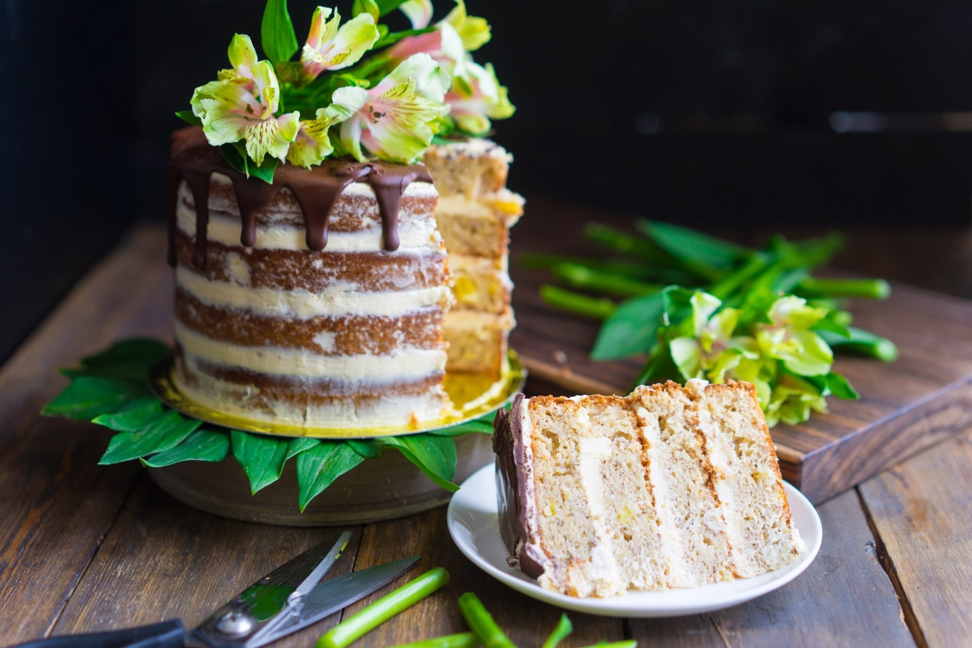 Decadent Pastry Layer Cake — HD Food Wallpaper