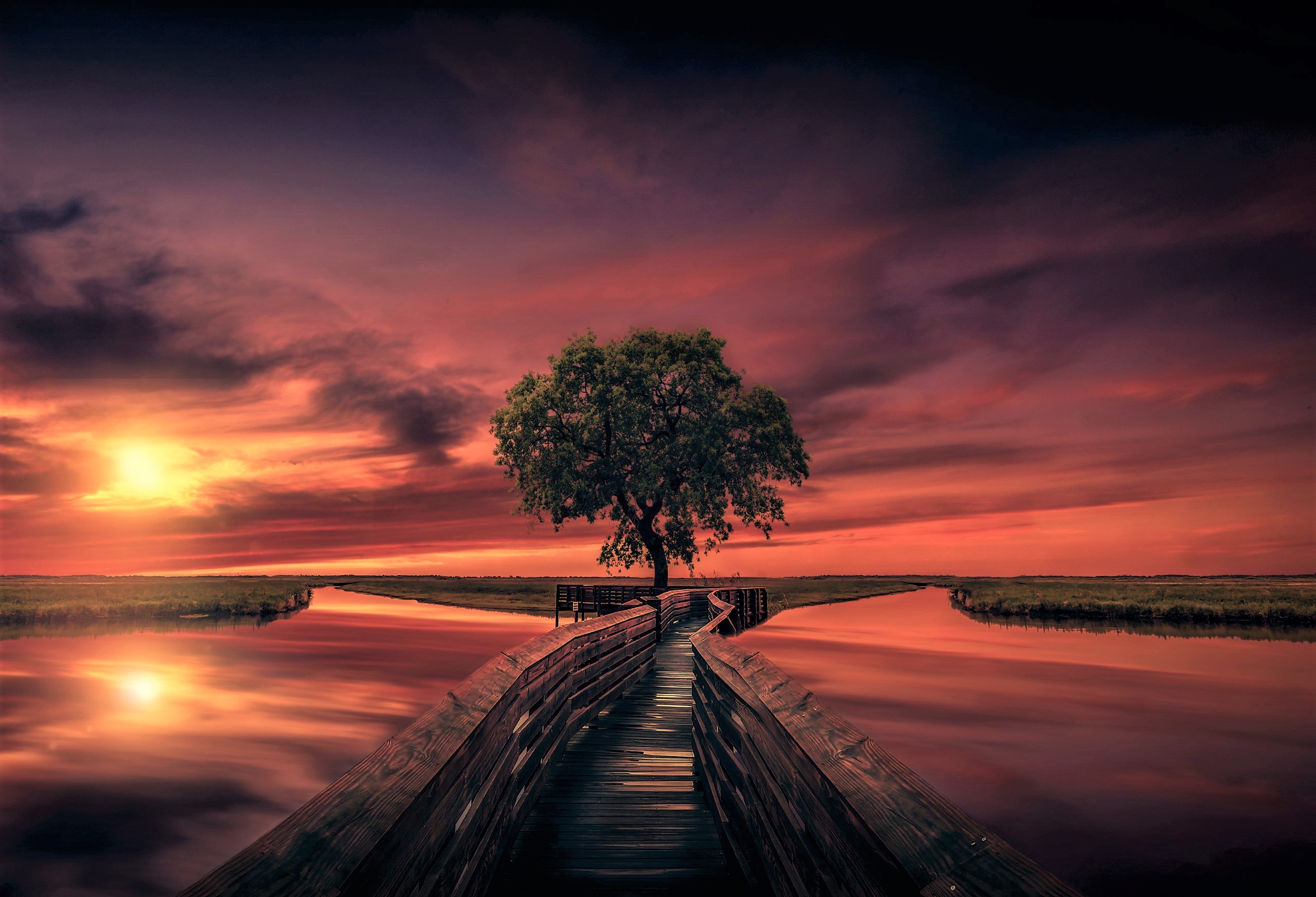 Download Sky Horizon Sunset Lake Walkway Bridge Nature Tree HD Wallpaper