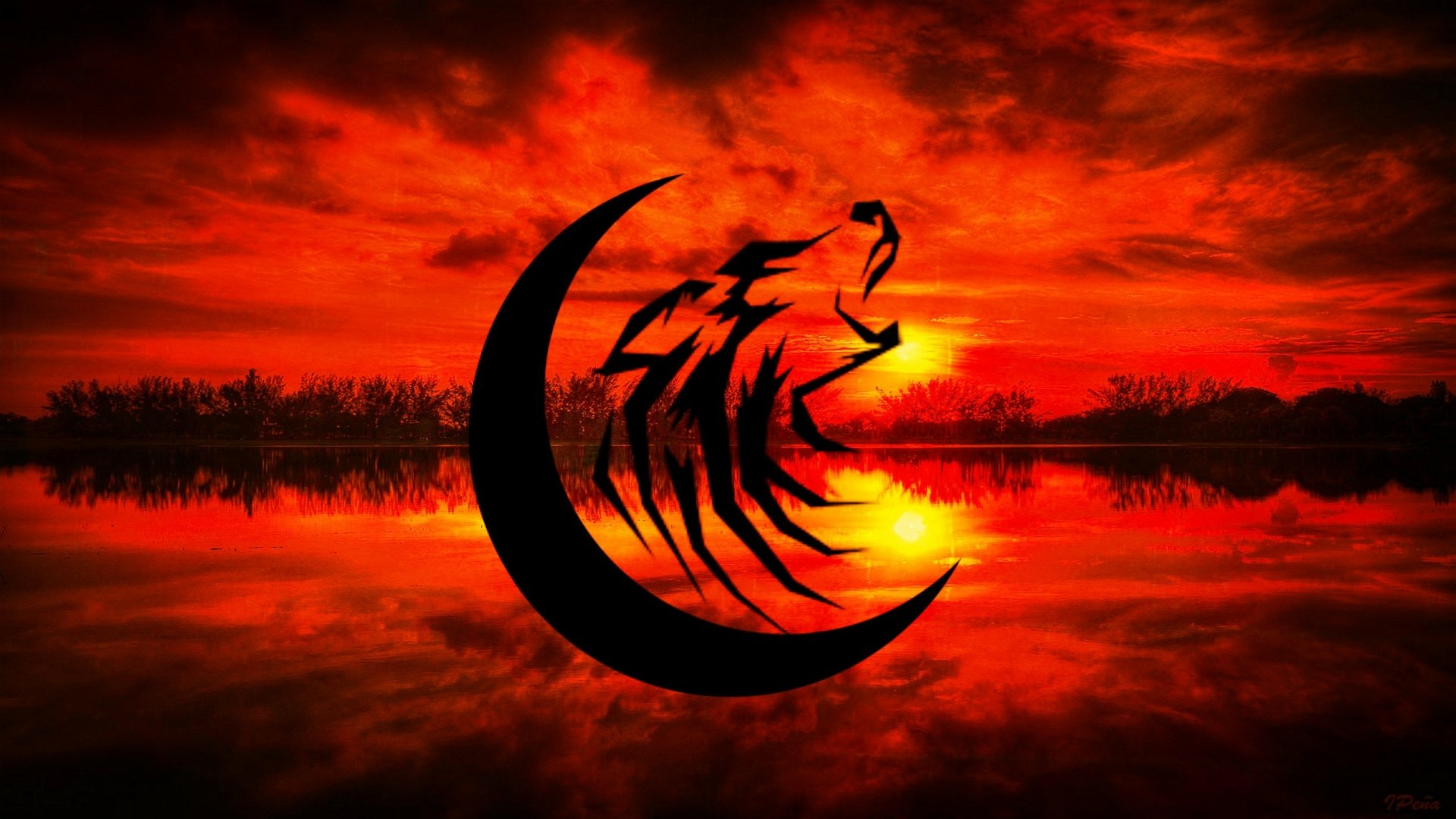 Download Lake Sun Dusk Wolf Animal Artistic HD Wallpaper