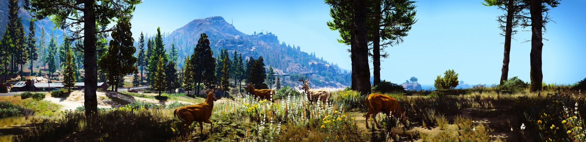 Download Mountain Forest Deer Video Game Grand Theft Auto V HD ...