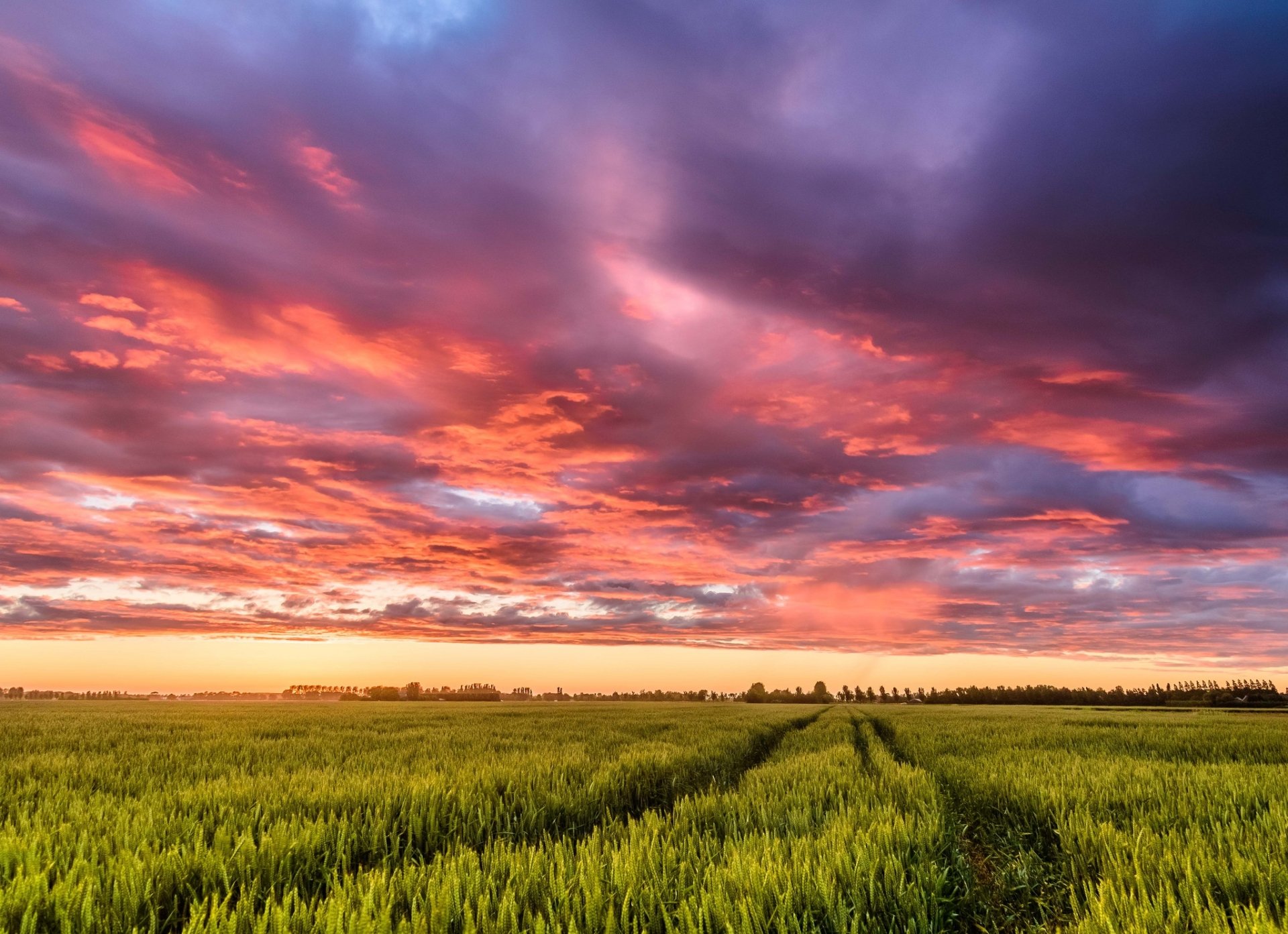 Download Wallpaper Clouds Field