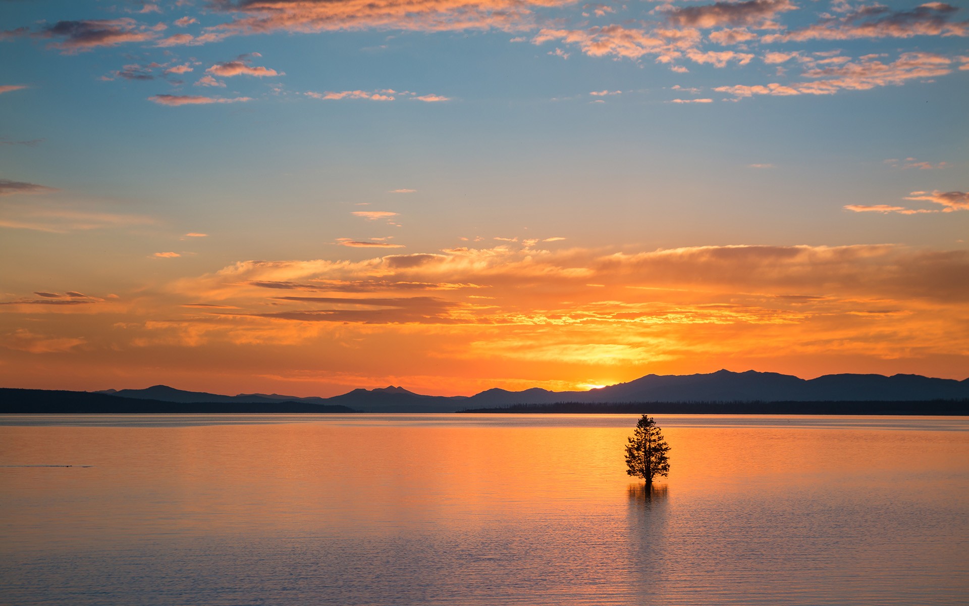 Serene Sunset Over Lonely Tree by the Lake – HD Nature Wallpaper