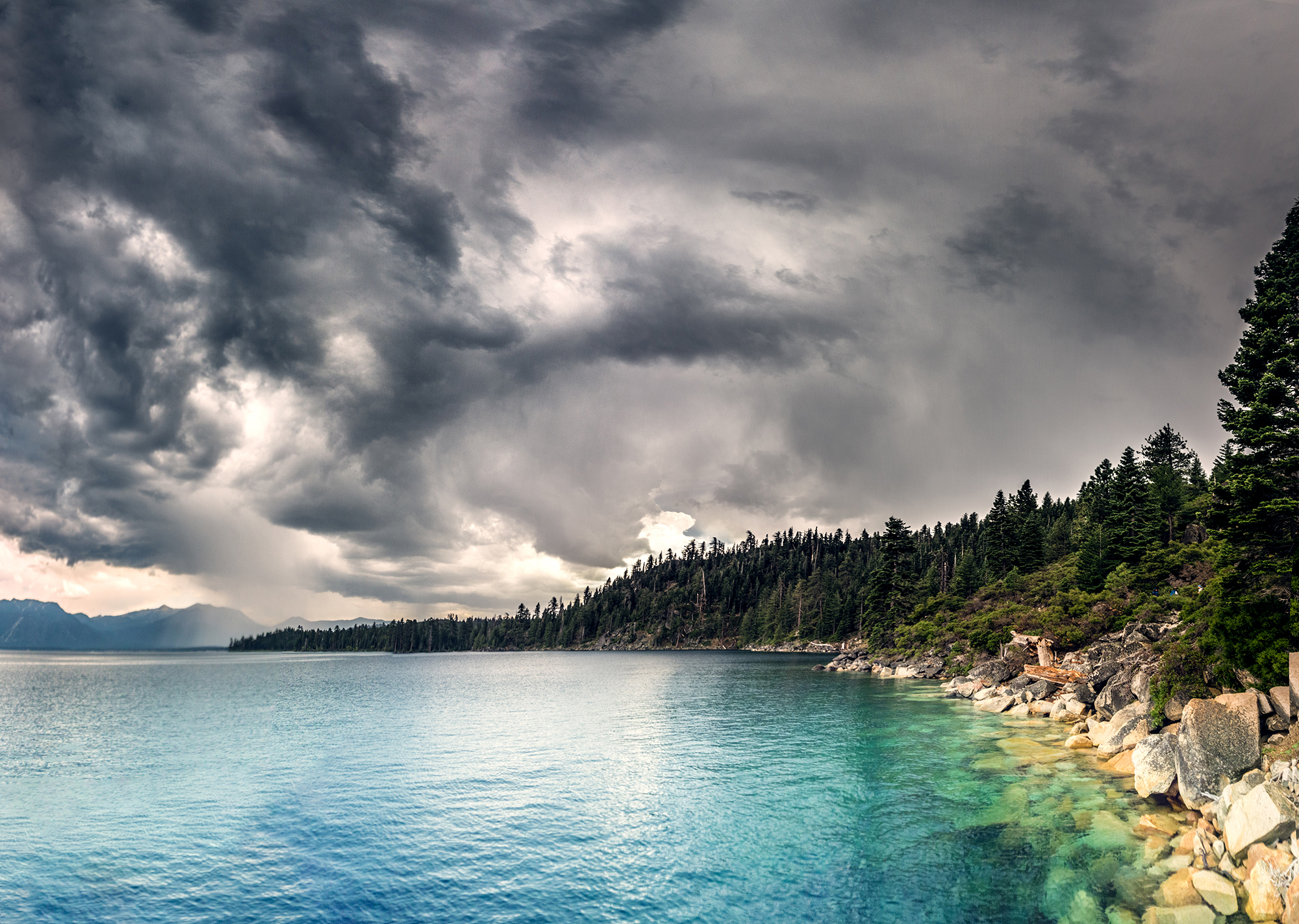 Download Sky Cloud Sea Beach Forest Tree Nature Coastline HD Wallpaper