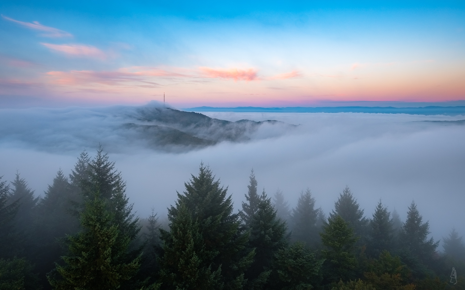 Download Sky Horizon Nature Fog HD Wallpaper