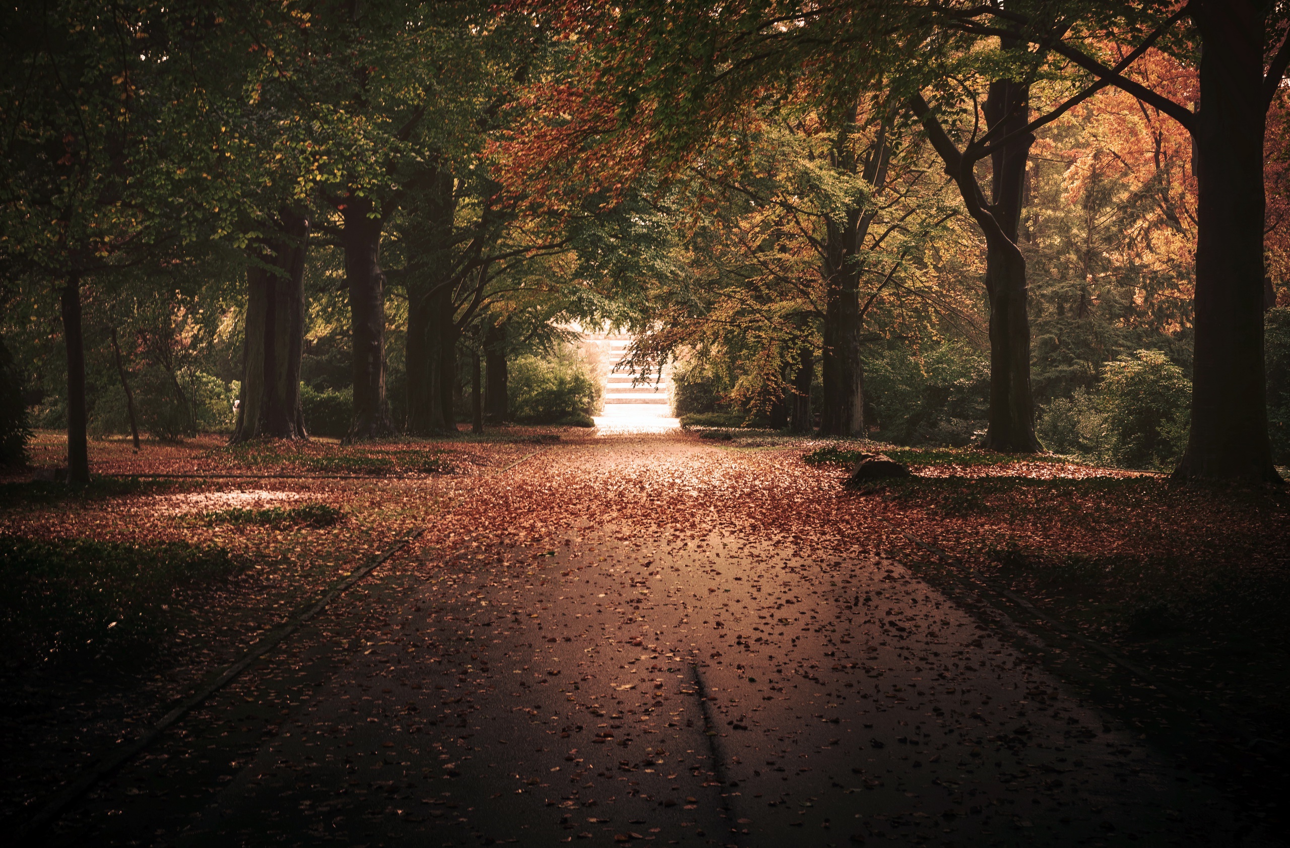 Autumn Park Pathway – Stunning HD Nature Photography of Fall Trees