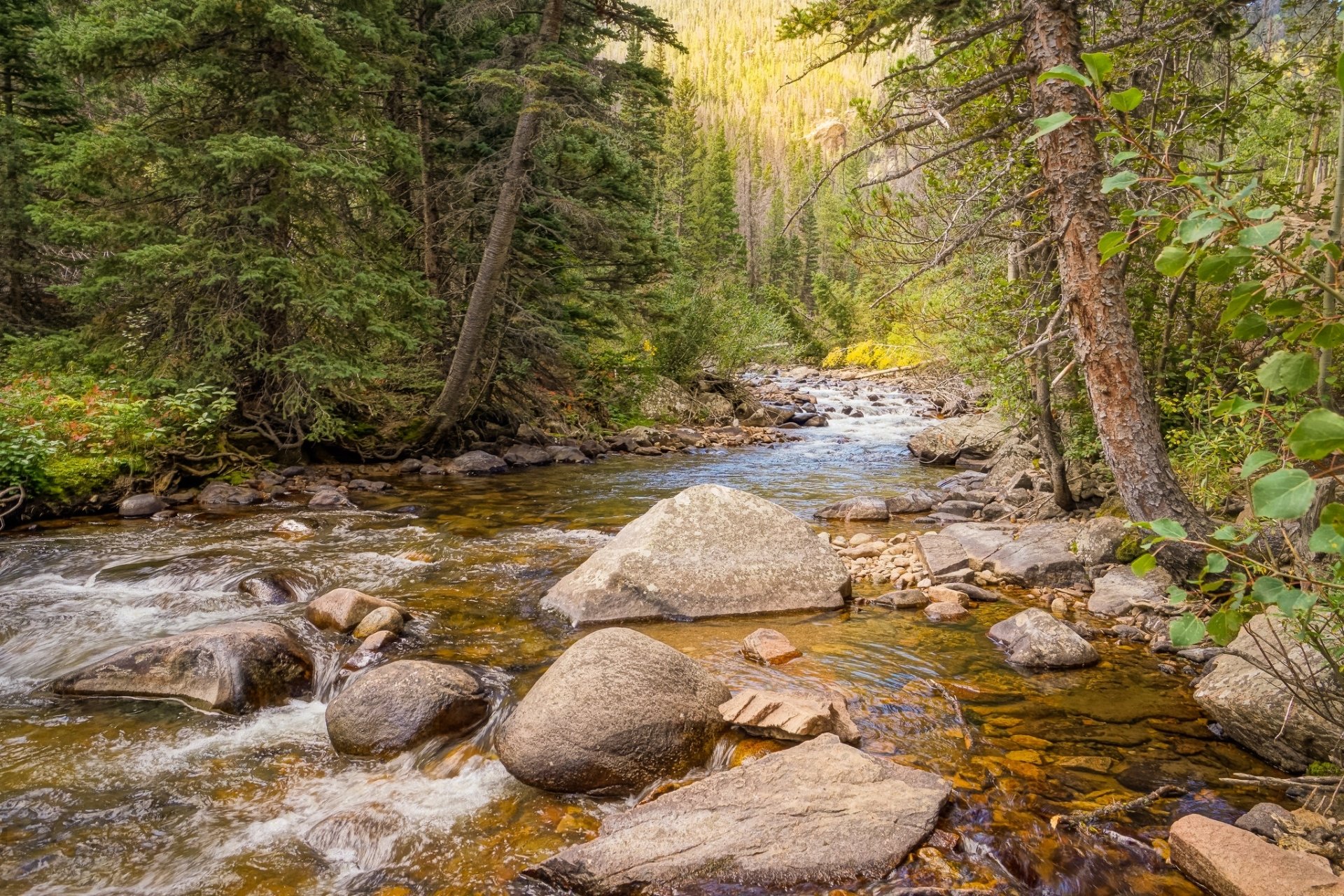 Tranquil Forest Stream — HD Nature Wallpaper | 2048x1365 | Wallpaper Abyss