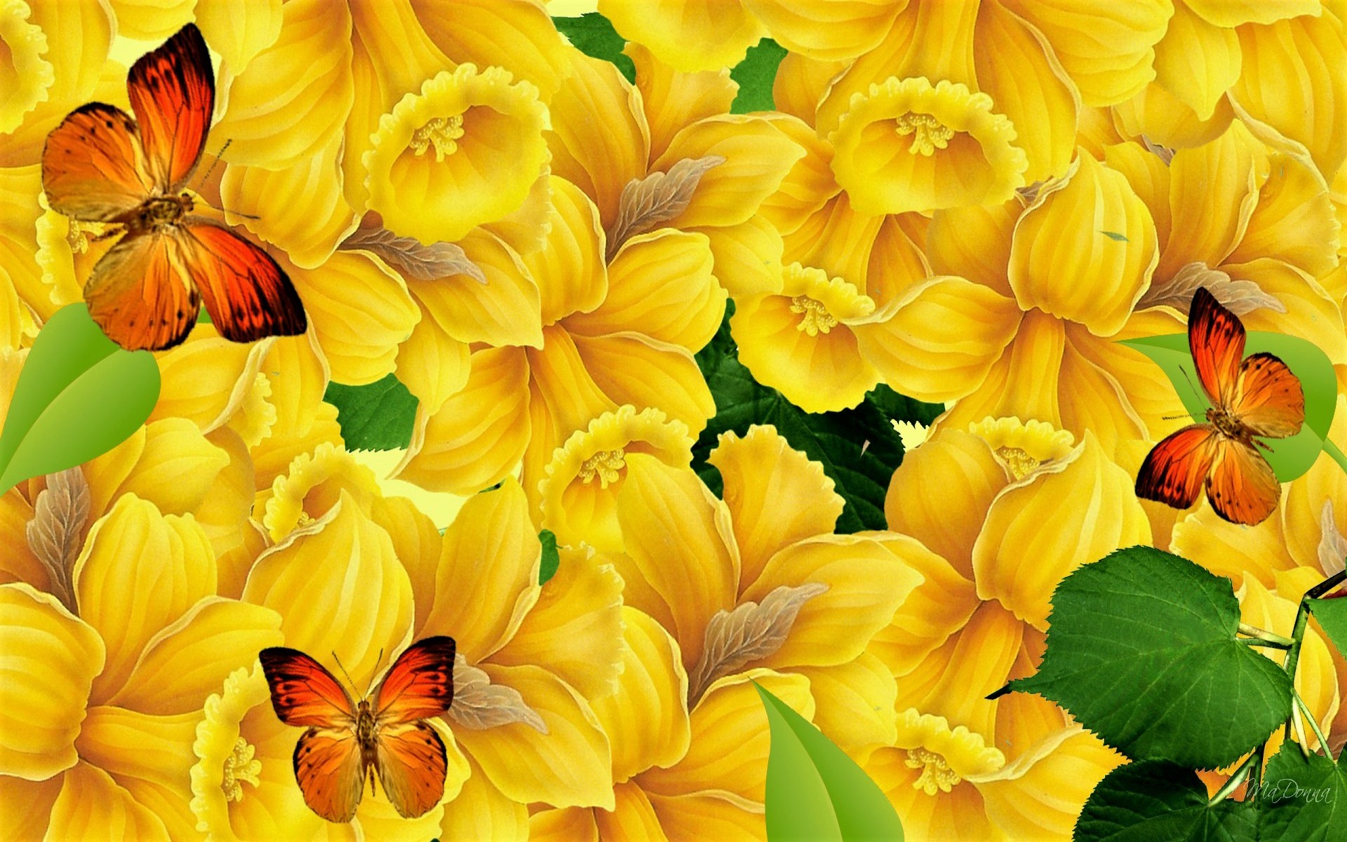 Radiant Daffodils and Orange Butterflies HD Wallpaper by MaDonna