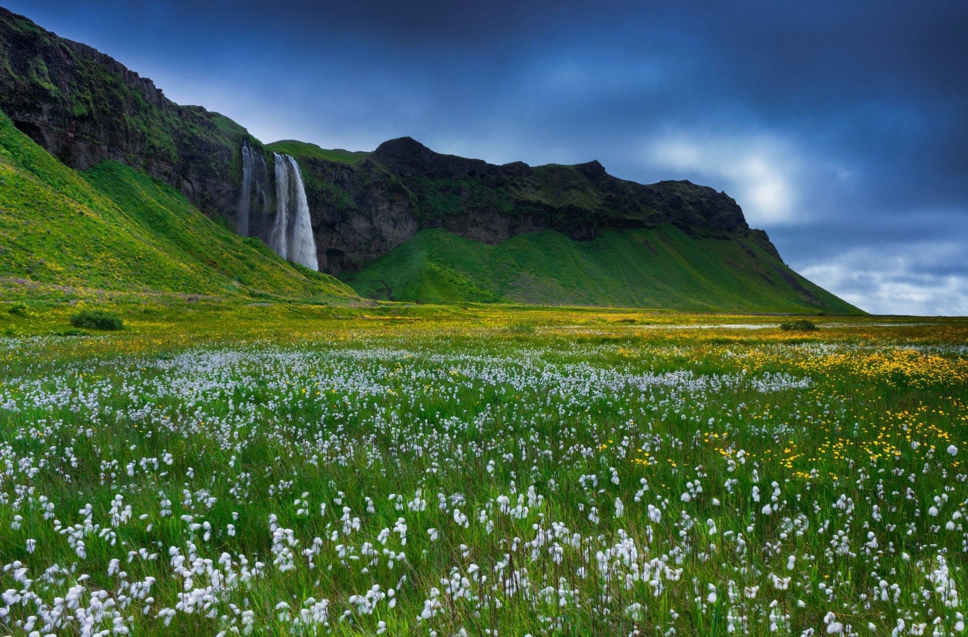 Download Mountain Flower Field Iceland Nature Seljalandsfoss HD ...